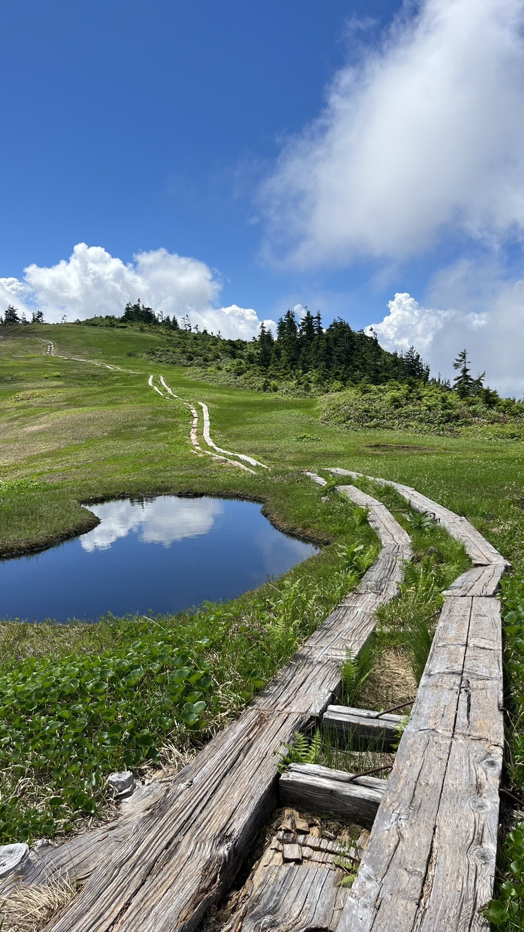 会津駒ヶ岳 / isoさんの会津駒ヶ岳の活動データ | YAMAP / ヤマップ