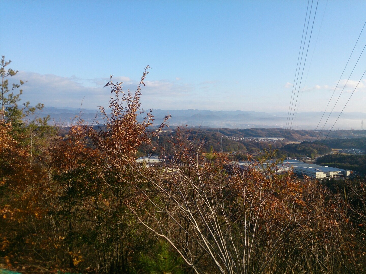 向山 / TATAさんの各務原アルプス・八木三山の活動データ | YAMAP / ヤマップ