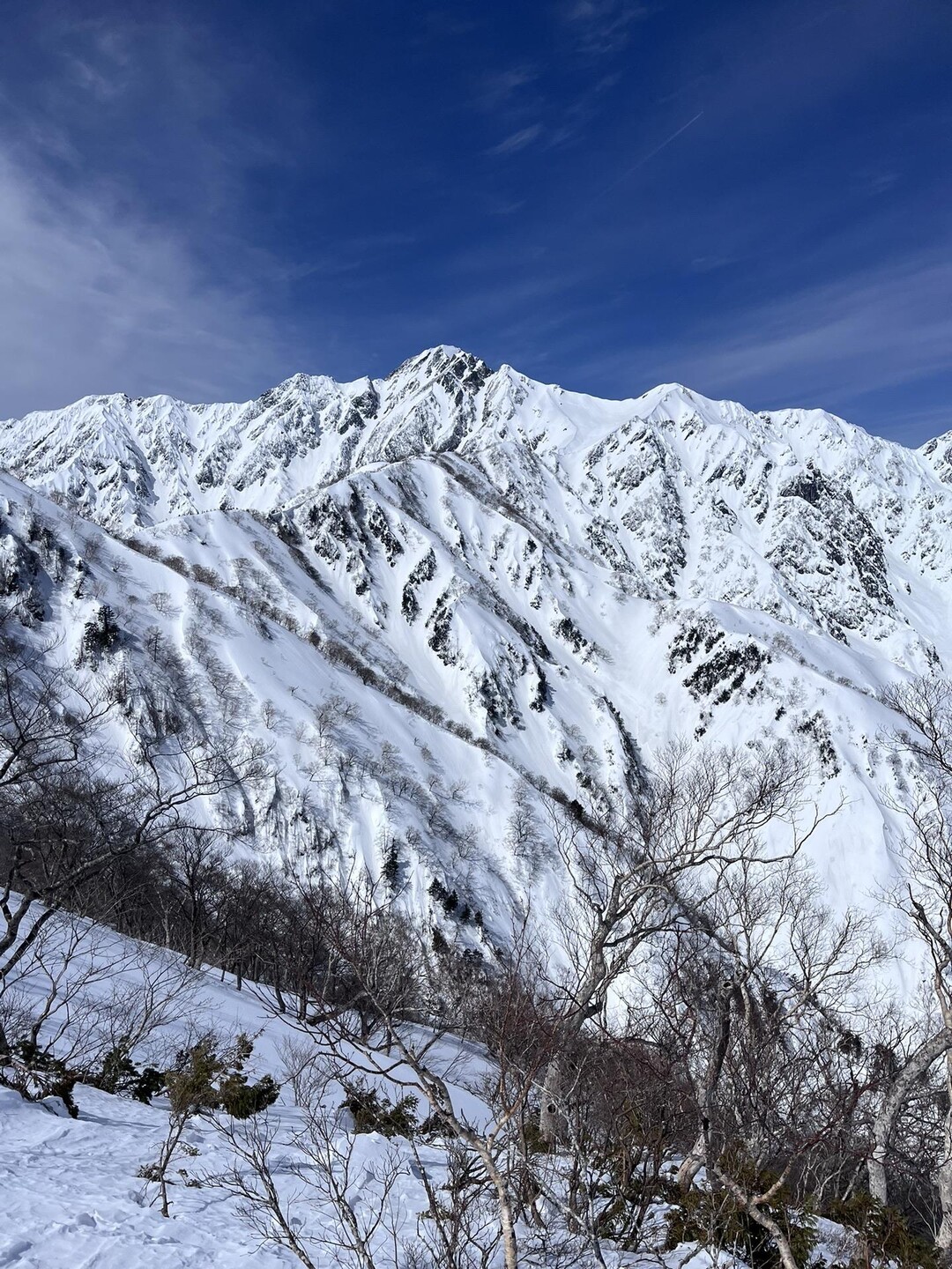 小遠見山〜天狗岳の先まで / mierinさんの鹿島槍ヶ岳・五竜岳（五龍岳）・唐松岳の活動データ | YAMAP / ヤマップ