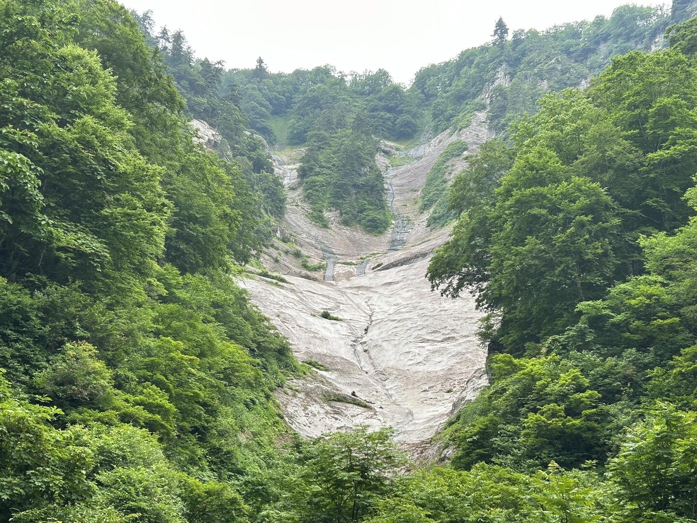志津倉山 / rysykoさんの志津倉山の活動データ | YAMAP / ヤマップ