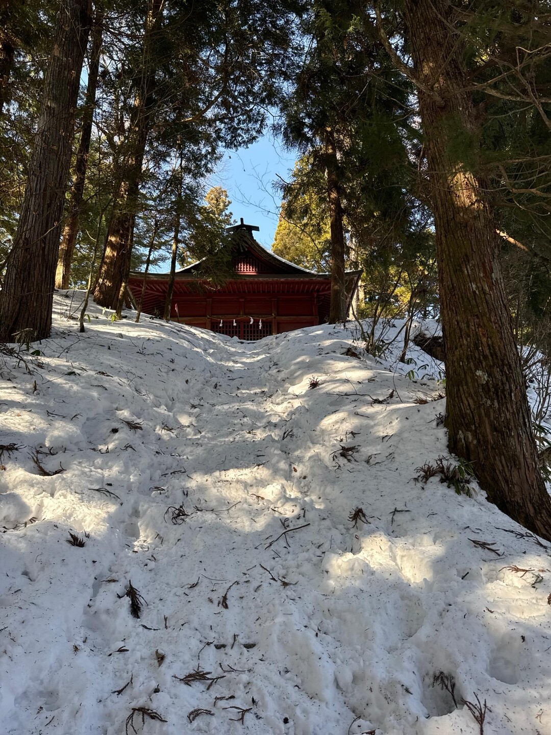 虚空蔵山雪無し・風越山雪有り / ANZUNUKOさんの風越山（権現山）・虚空蔵山の活動データ | YAMAP / ヤマップ
