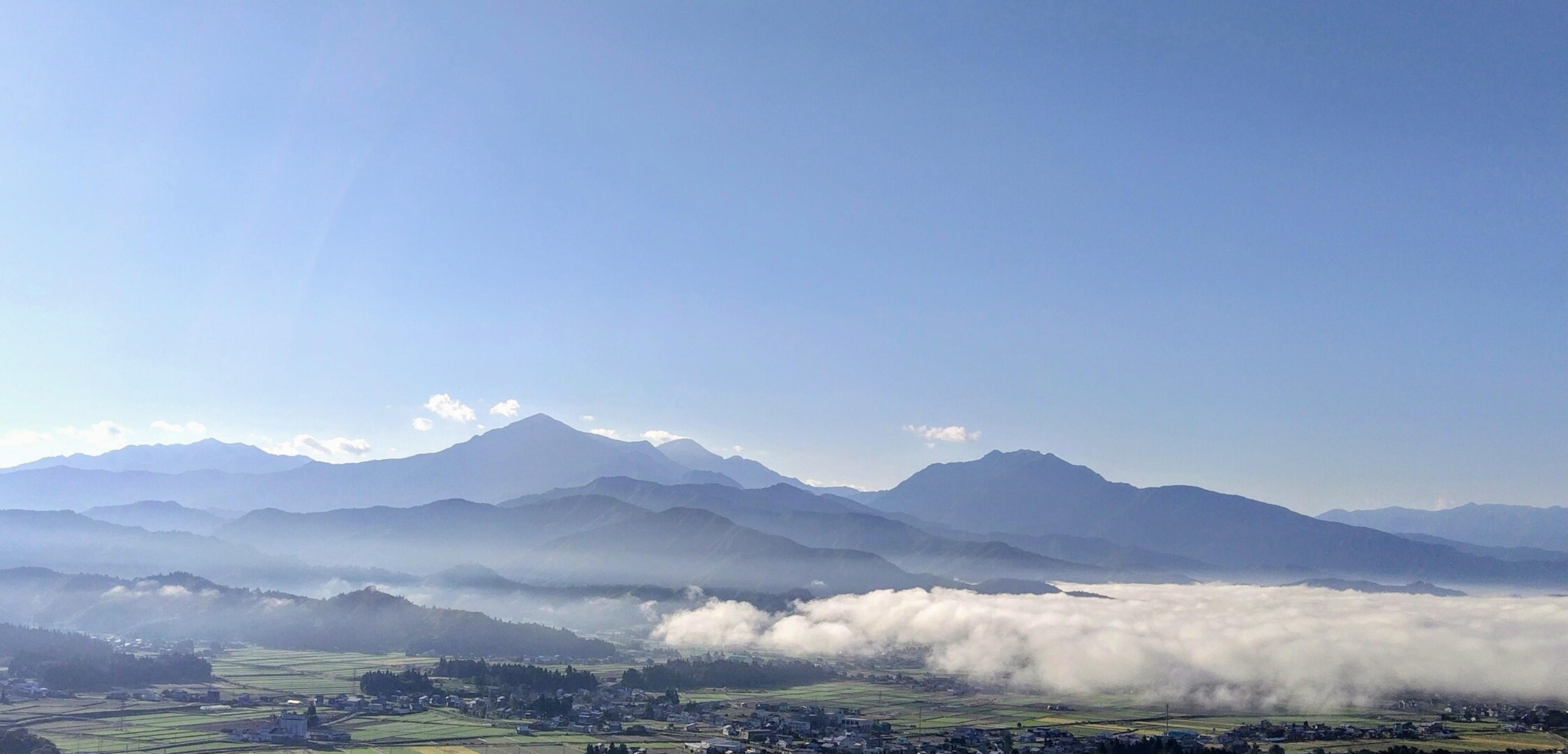 気持ちが少しほぐれた朝。 コスモス畑を散... / nao_🐔さんのモーメント | YAMAP / ヤマップ