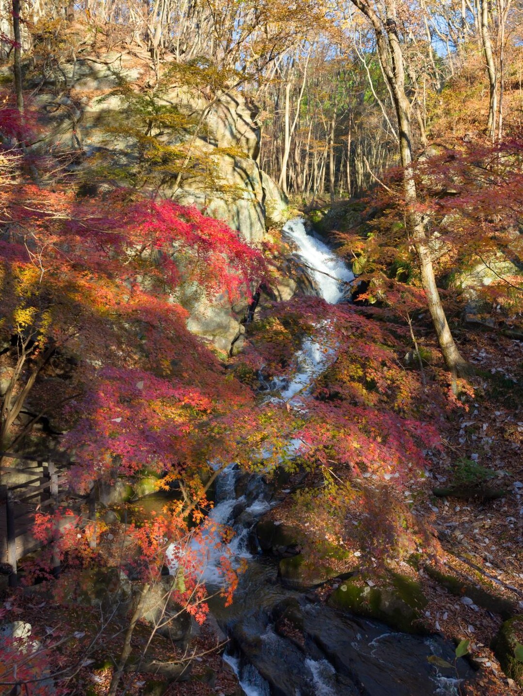 滝川渓谷-2024-11-23 / noraさんの滝川渓谷の活動データ | YAMAP / ヤマップ