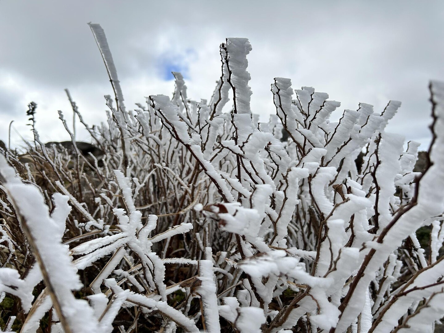 森吉山冬の足音 / momoさんの森吉山の活動日記 | YAMAP / ヤマップ