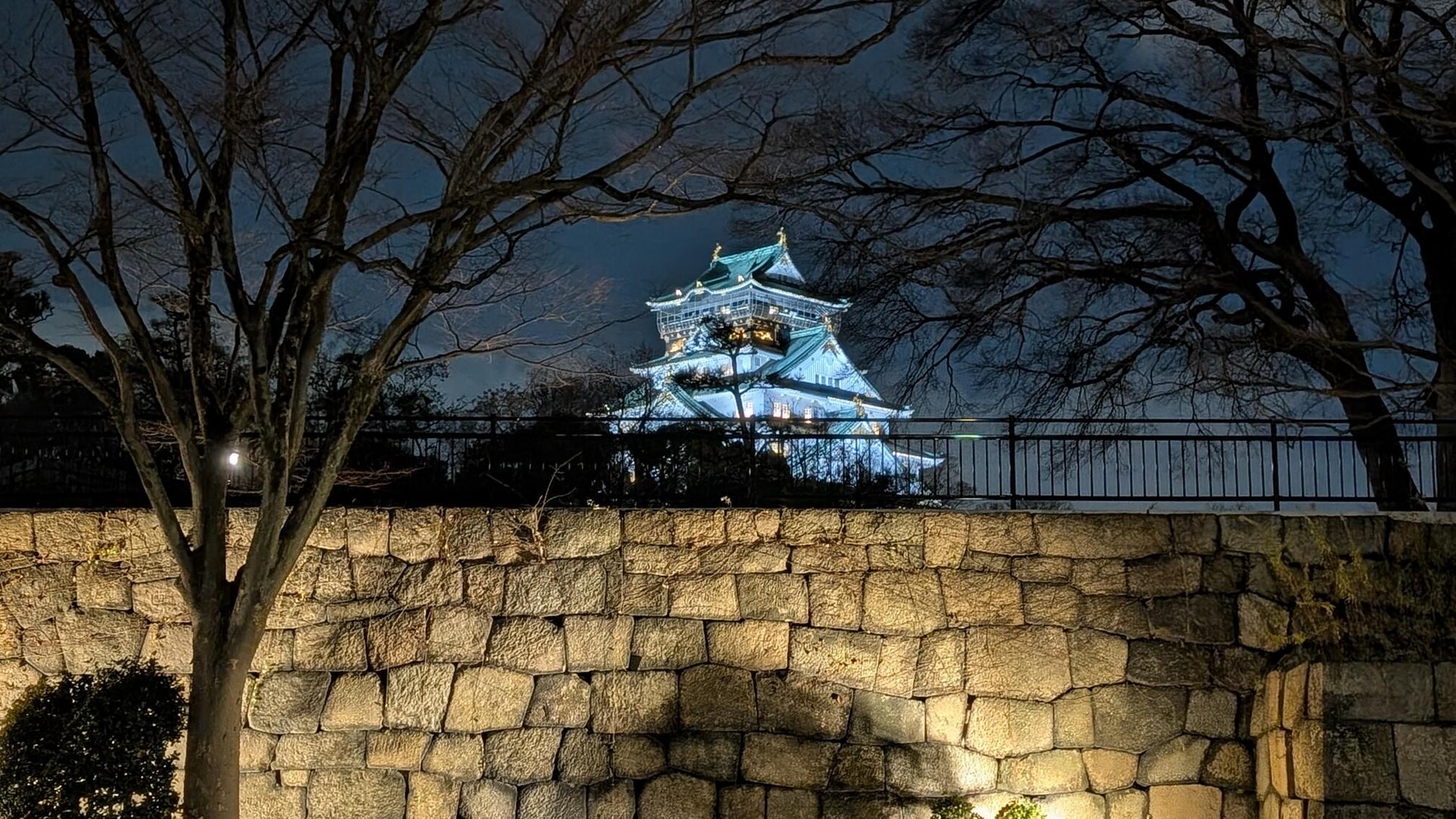 季節ごとにライトアップされる大阪城を見に... / めぐさんのモーメント | YAMAP / ヤマップ