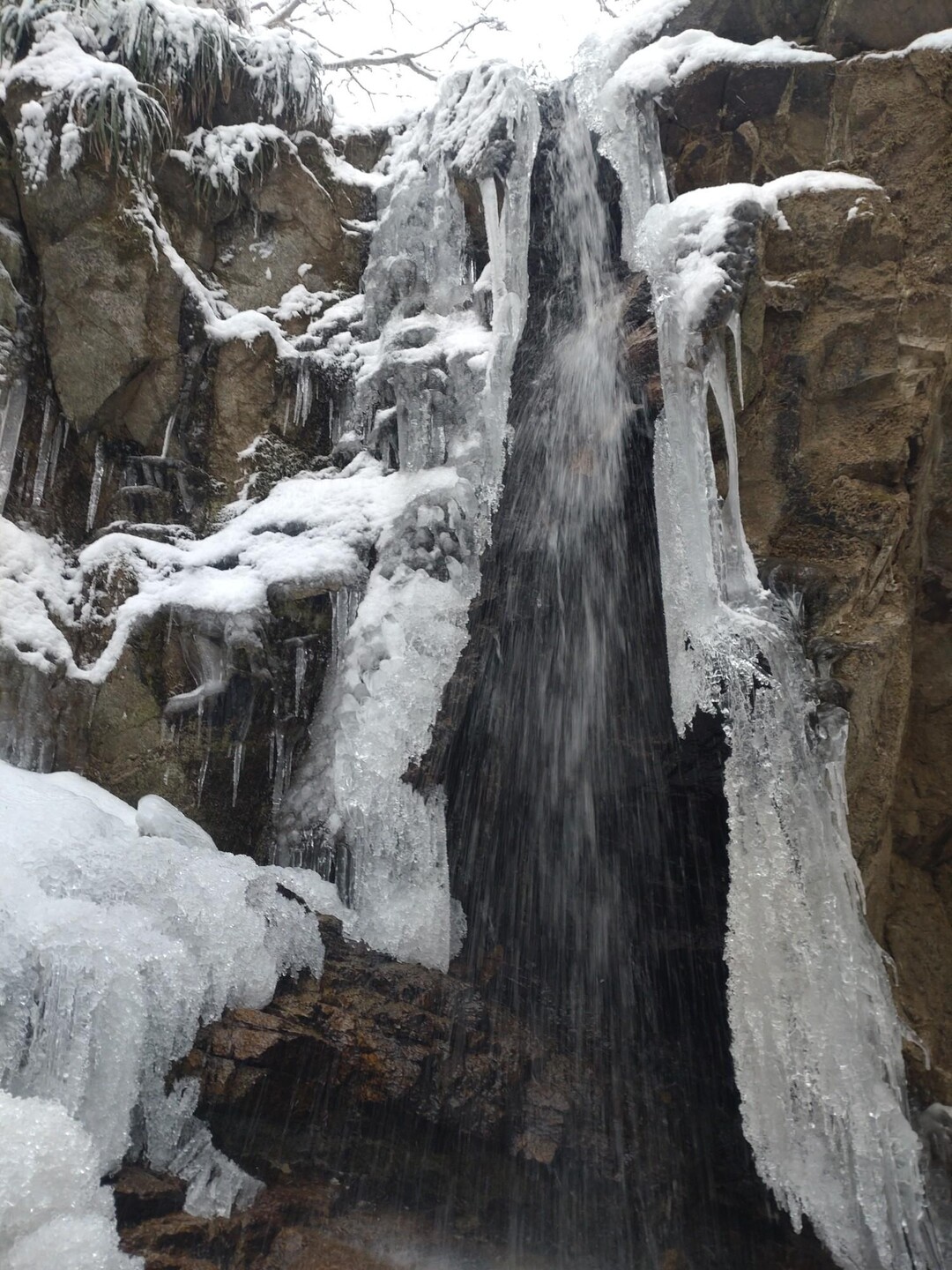 真っ白な金剛山 / STSケイさんの金剛山・二上山・大和葛城山の活動データ | YAMAP / ヤマップ