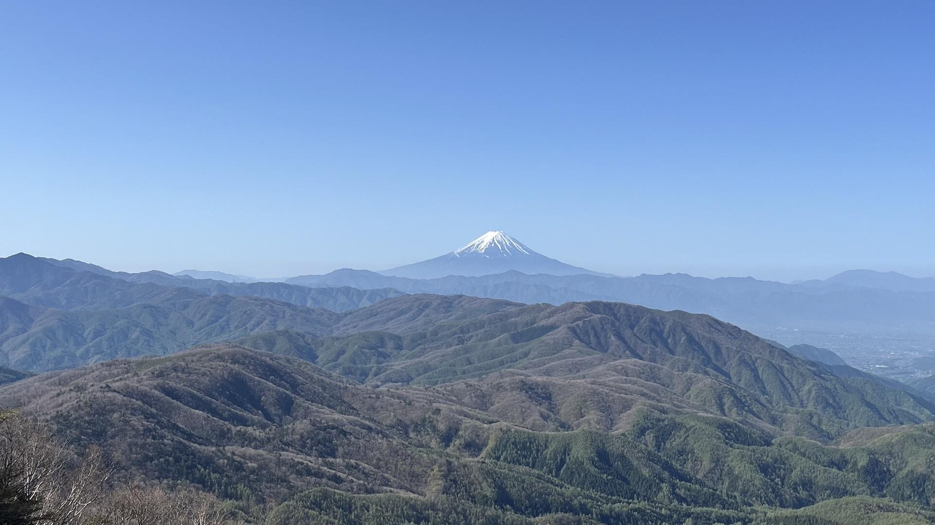 水晶山・古礼山・燕山 / TATさんの甲武信ヶ岳の活動データ | YAMAP / ヤマップ