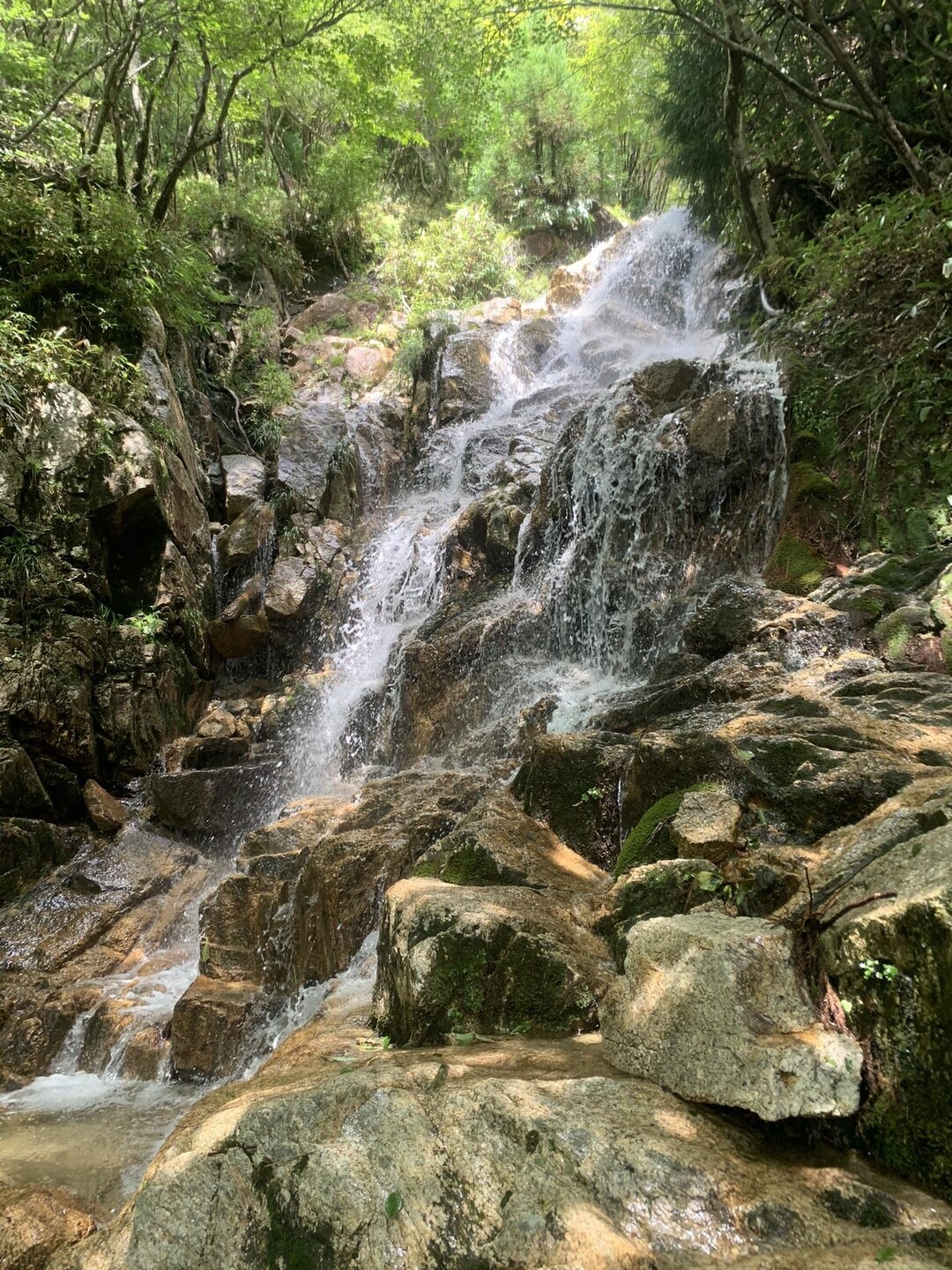 山の日やけど沢！御在所峠谷-2023-08-11 / nyaomaskさんの御在所岳（御在所山）・雨乞岳の活動データ | YAMAP / ヤマップ