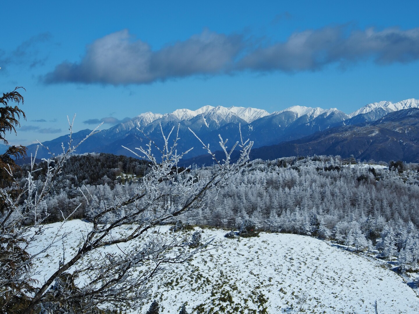 南沢山・横川山（湯舟沢山） / ICHI JUNさんの恵那山・大判山・神坂山の活動データ | YAMAP / ヤマップ