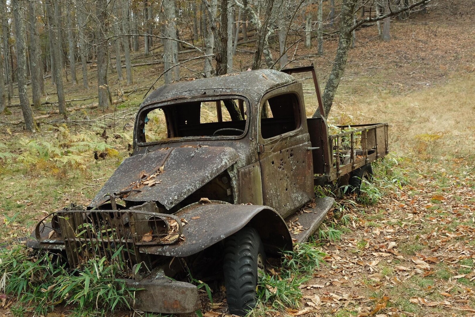 柳沢ノ頭・ハンゼノ頭・鈴庫山・藤谷ノ頭・萩尾・絵図小屋山・倉掛山 / meguさんの和名倉山・笠取山・東仙波の活動データ | YAMAP / ヤマップ