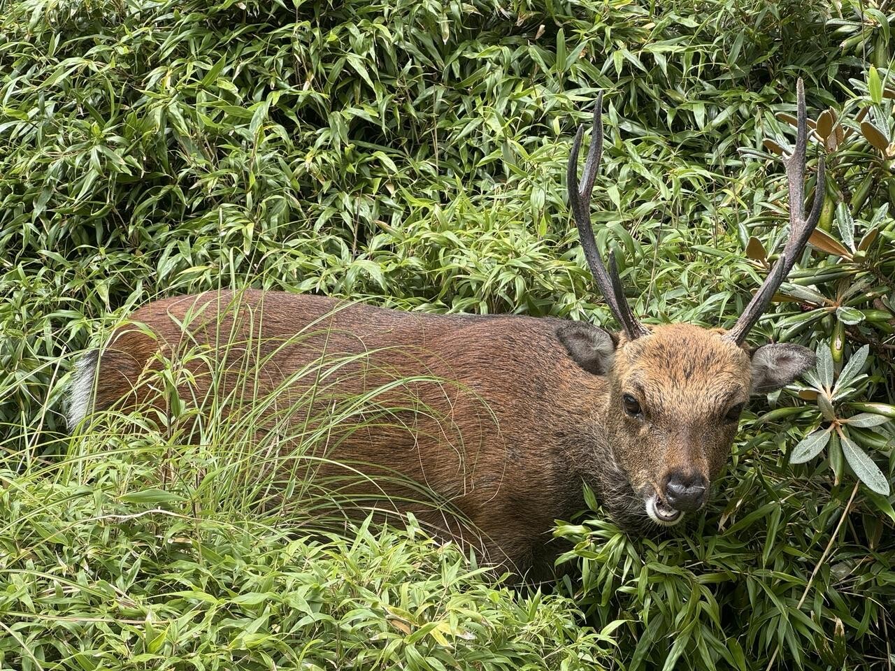 痩っせんBOのページ | YAMAP / ヤマップ