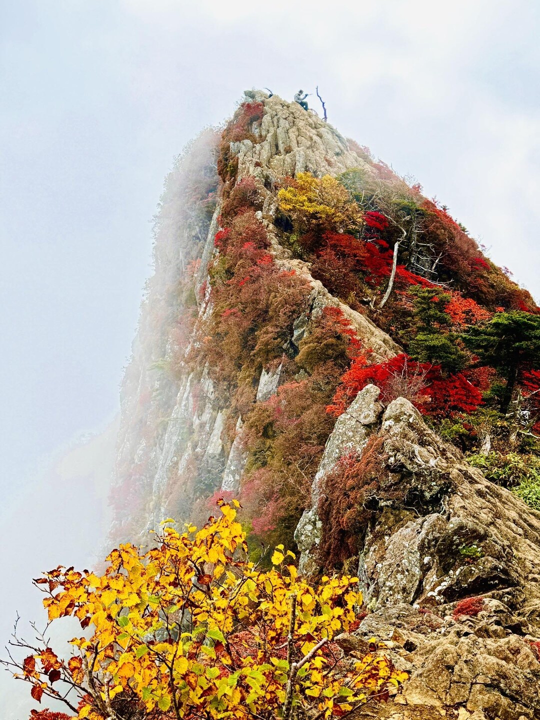 石鎚山・天狗岳・南尖峰 / TAKEさんの石鎚山・堂ヶ森・二ノ森の活動データ | YAMAP / ヤマップ