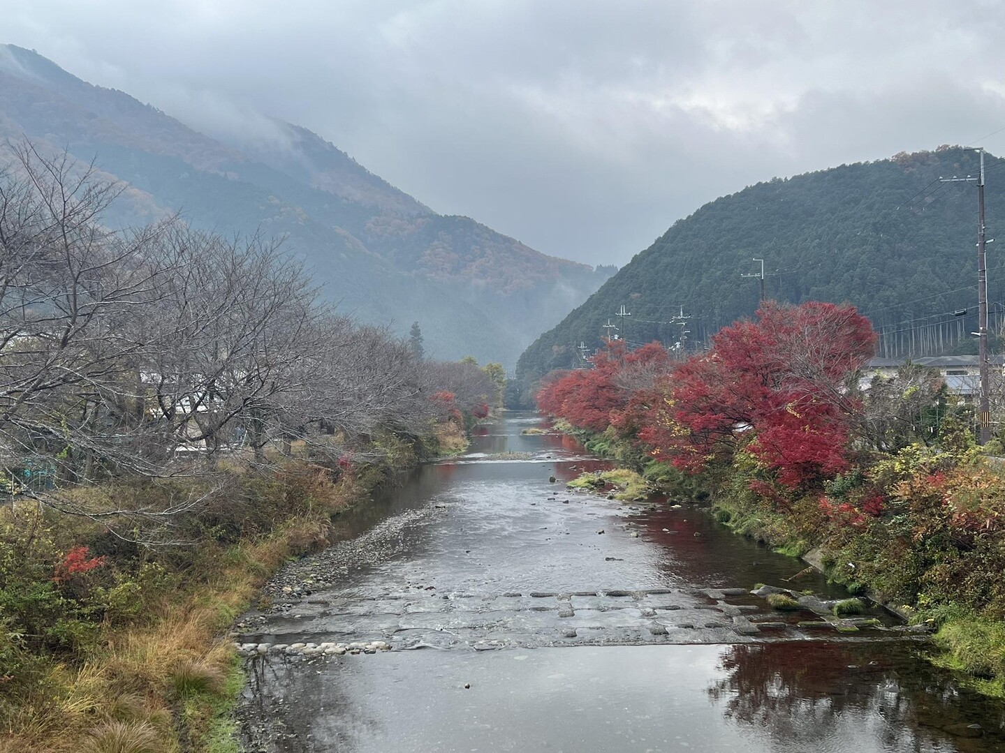 京都一周北山東部コース / mattさんの京都一周トレイルの活動データ | YAMAP / ヤマップ