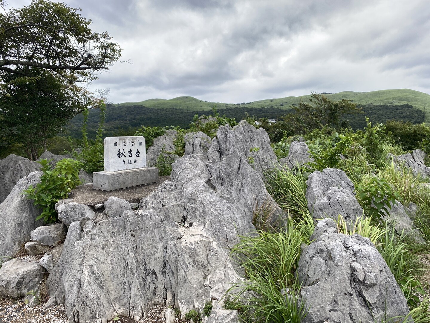 ZPH3 教科書に載っていたカルスト大地へ！若竹山 / TMZさんの秋吉台の活動データ | YAMAP / ヤマップ