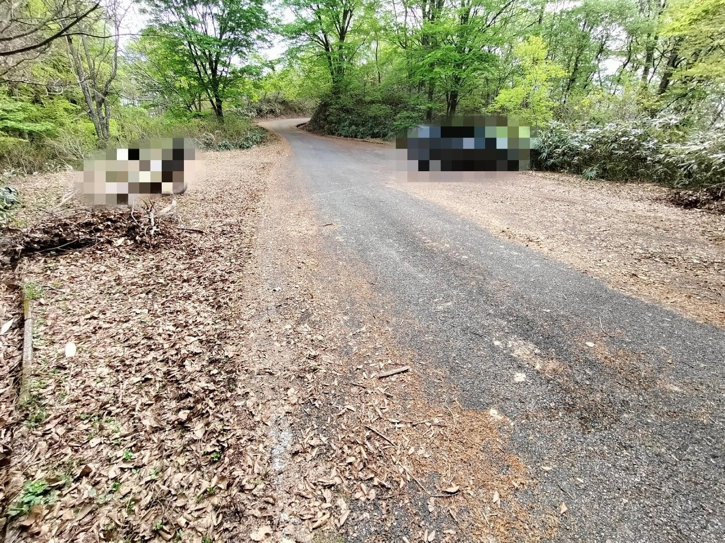 こばいちさんの投稿したフィールドメモ | YAMAP / ヤマップ