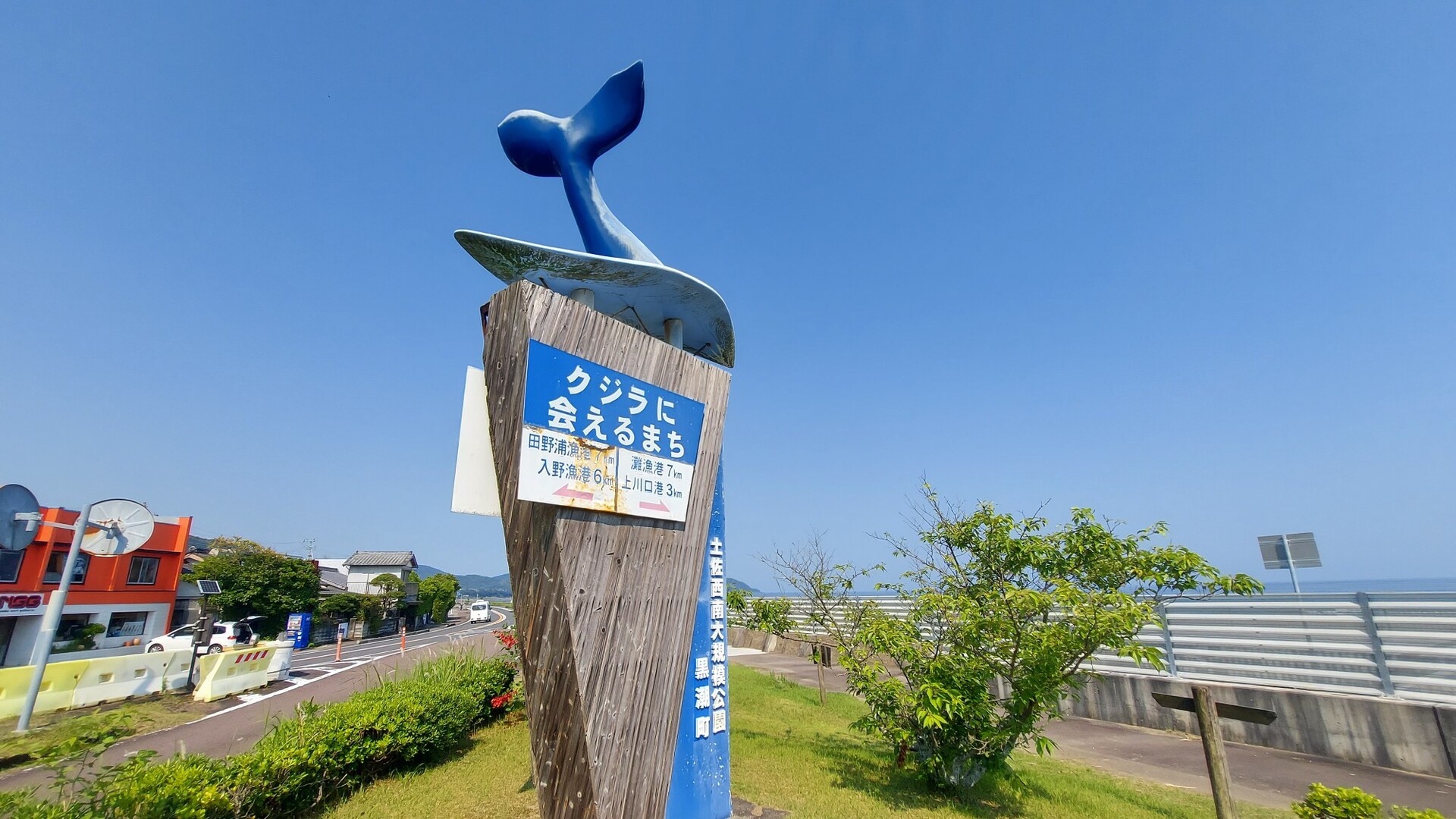 高知の西側沿岸はクジラに会える町(^^)... / tolucky(^^)さんのモーメント | YAMAP / ヤマップ