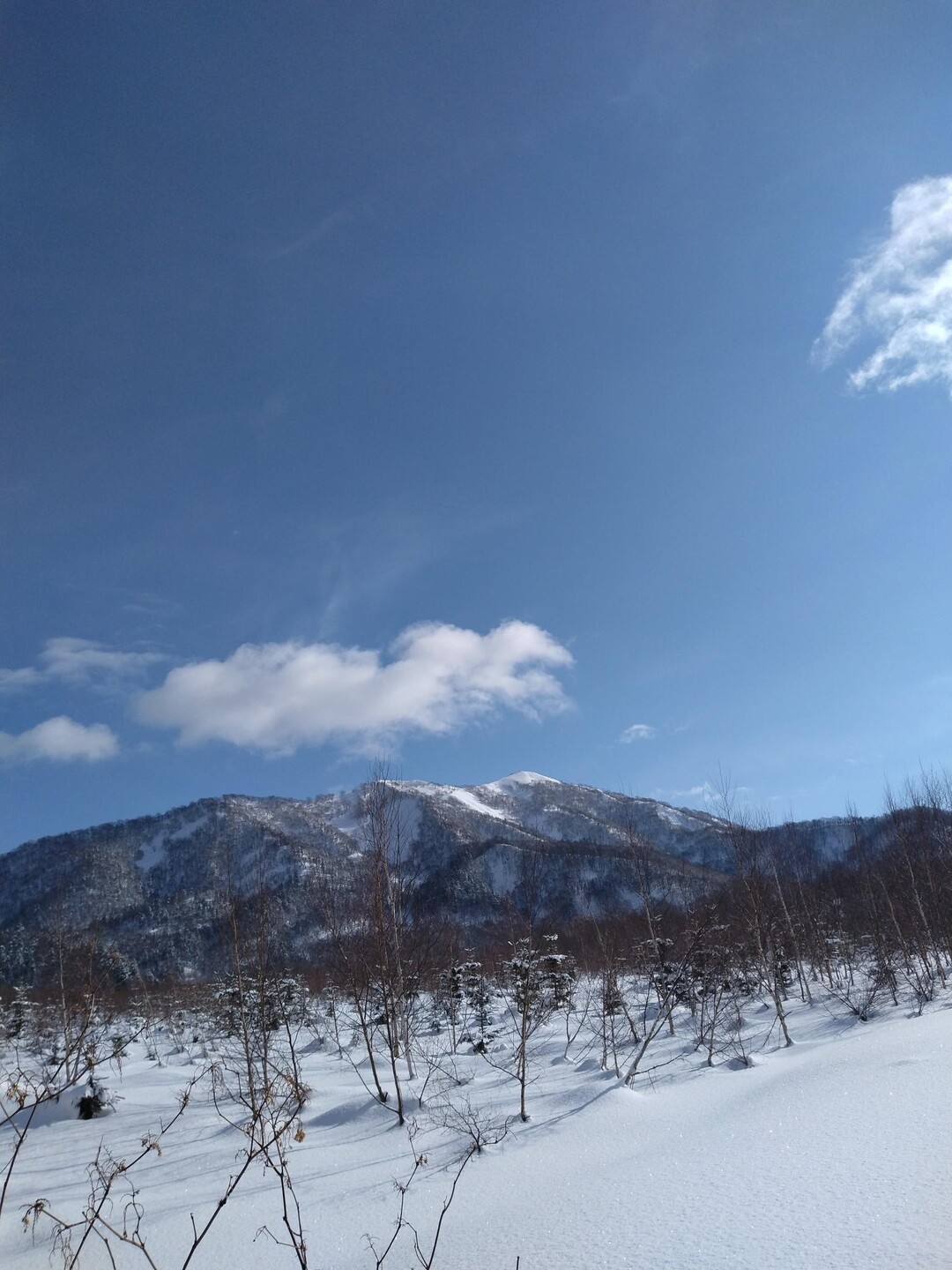 神居尻山 再び / 2053mさんの神居尻山・ピンネシリの活動データ | YAMAP / ヤマップ