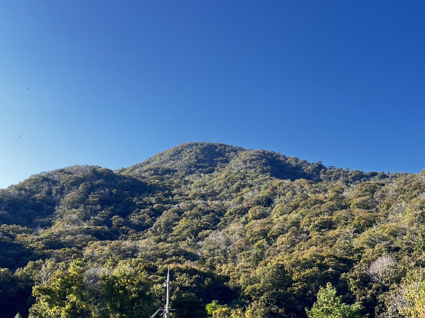 六道山の薮を泳ぐ🏊‍♂️ / idasさんの黒鉄山の活動データ | YAMAP / ヤマップ