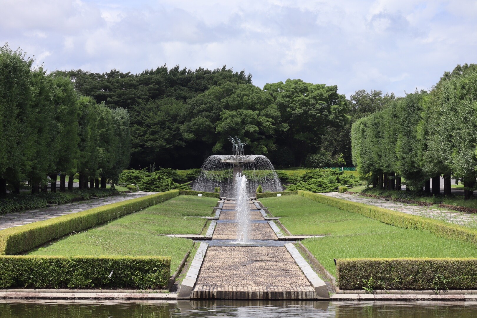 やっと雨が止んだので、昭和記念公園でウォ... / 八女茶さんのモーメント | YAMAP / ヤマップ