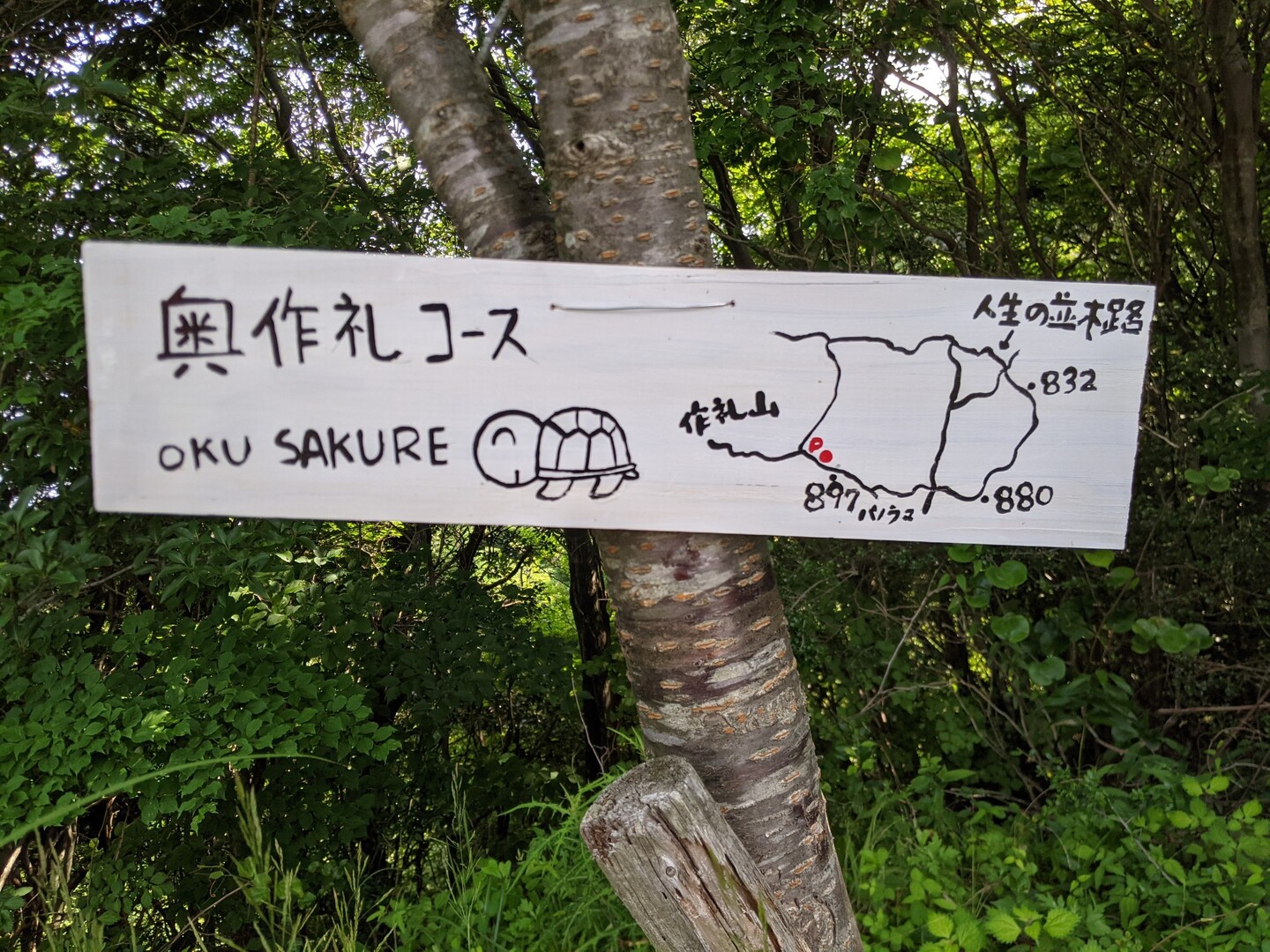 897ピーク・作礼山・作礼山東峰（権現山） / ひょんたれさんの作礼山の活動日記 | YAMAP / ヤマップ