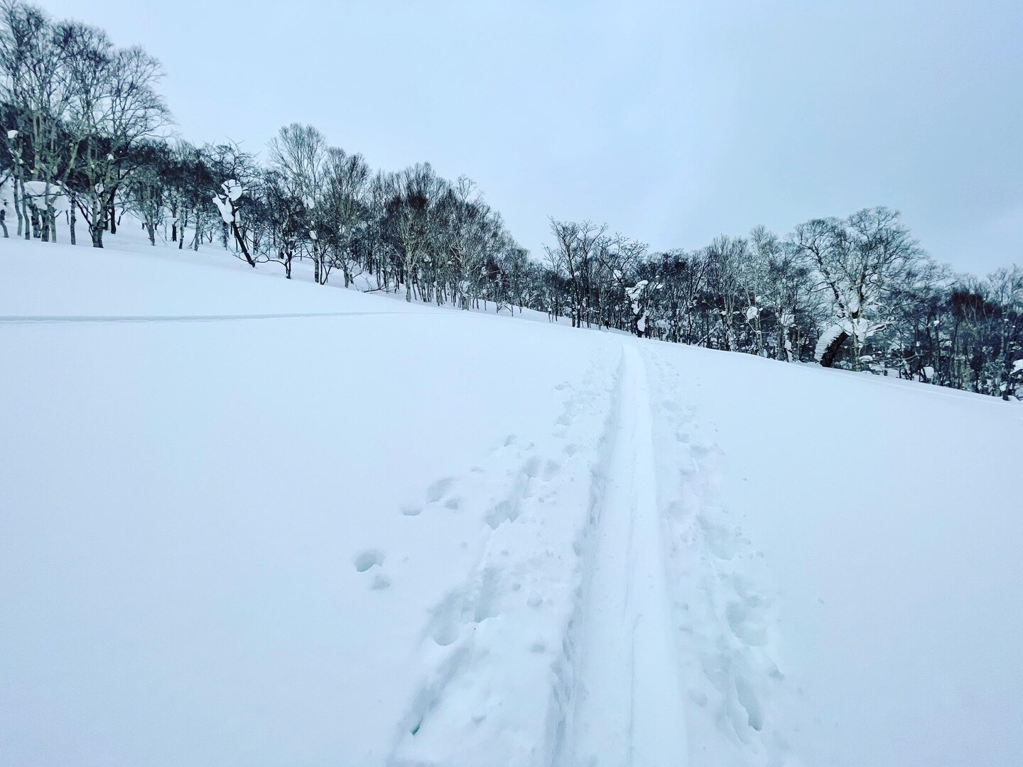 喜茂別岳-2023-02-11 / dadswebさんの喜茂別岳の活動データ | YAMAP / ヤマップ