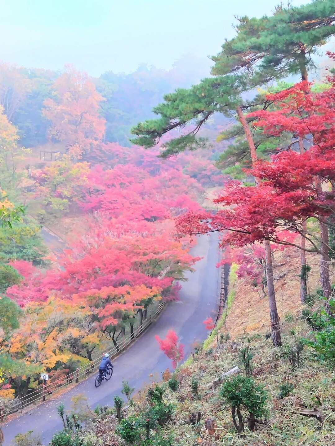 両崖山ぐるり🌀 中倉山がテンクラCで急... / あちらさんのモーメント | YAMAP / ヤマップ