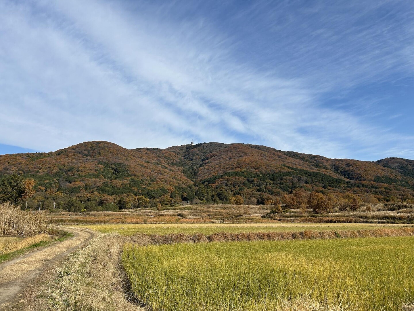 宝篋山 周回ルート / nanaさんの宝篋山・富岡山の活動日記 | YAMAP / ヤマップ