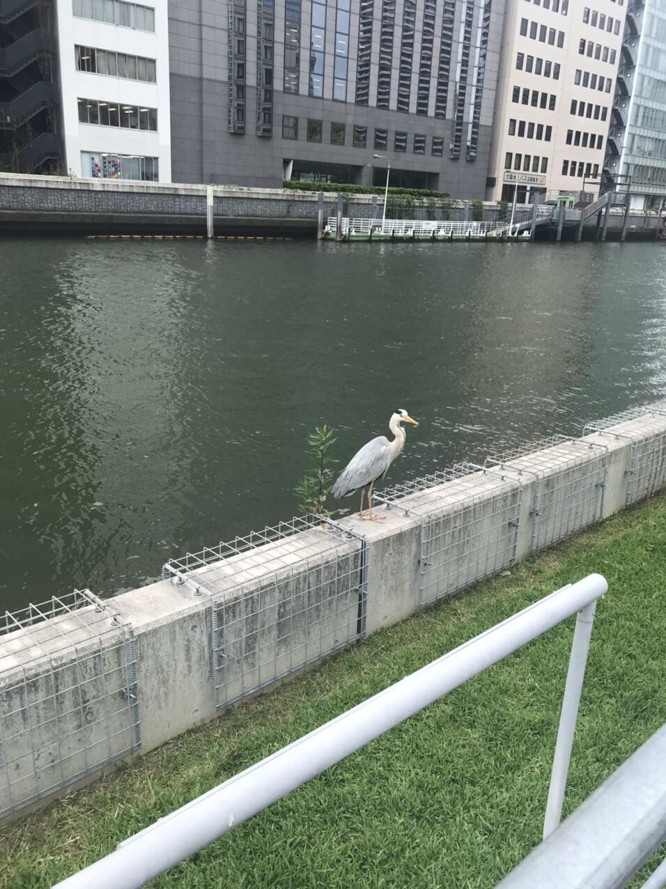 Nhのページ | YAMAP / ヤマップ