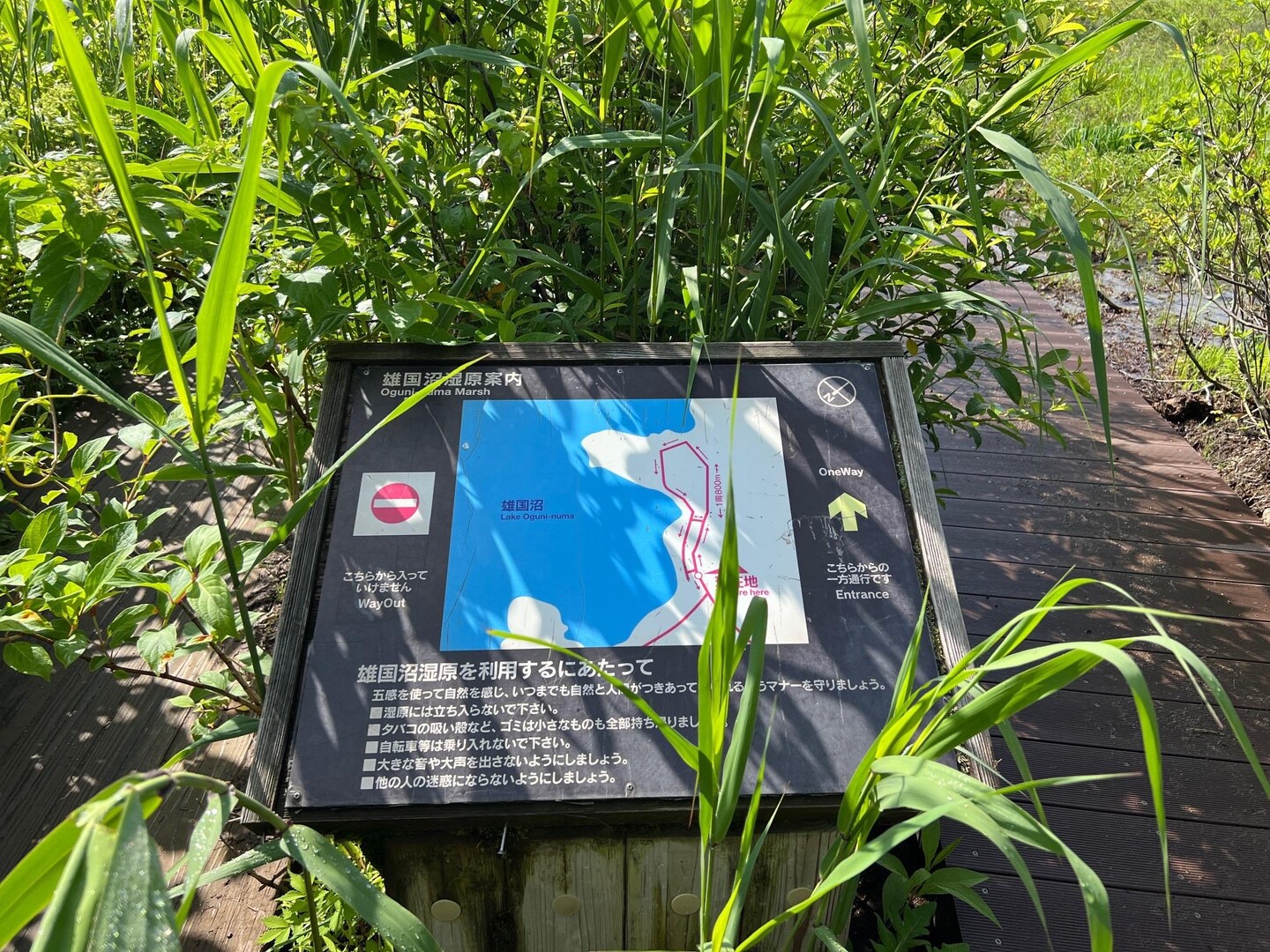 とんこつさんの投稿したフィールドメモ | YAMAP / ヤマップ