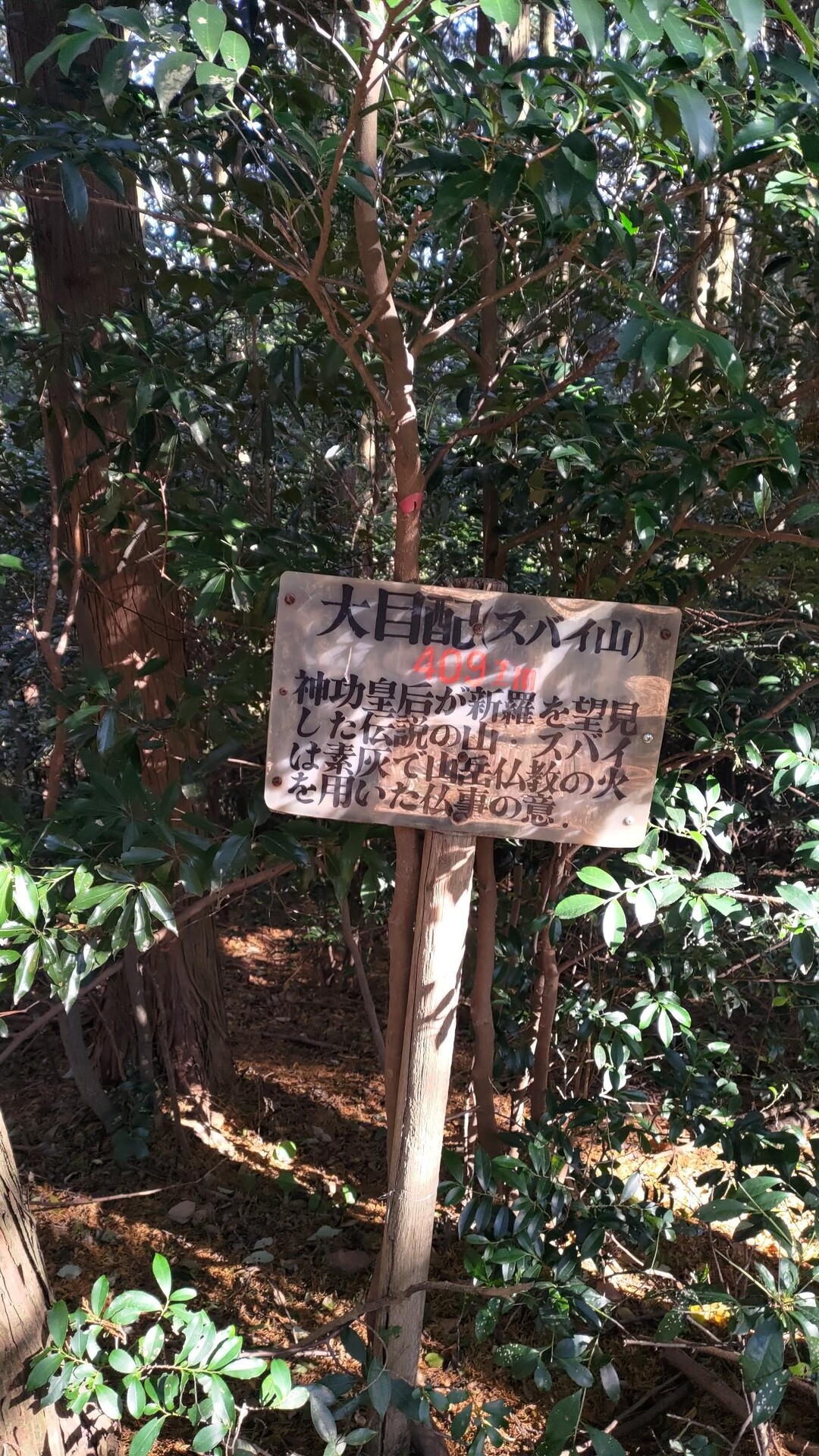大目配・京王山・京王山東峰・鬼王山・富谷山・久山・妙見山 / anto SSさんの犬鳴山・西山（鮎坂山）の活動データ | YAMAP / ヤマップ
