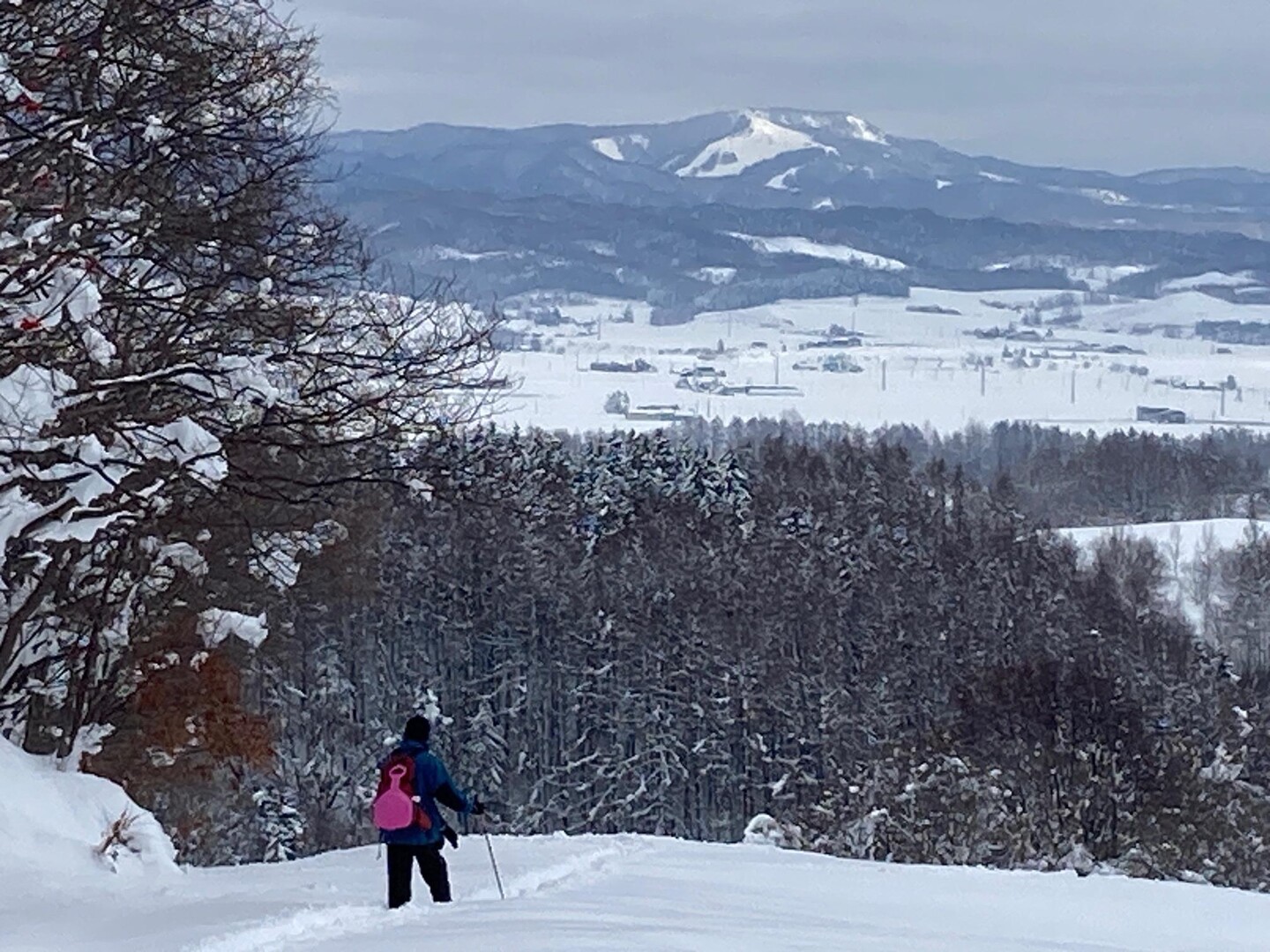 ほんのすこ〜しラッセル御大師山 / Virinさんの馬追丘陵・長官山・瀞台（馬追山）の活動データ | YAMAP / ヤマップ