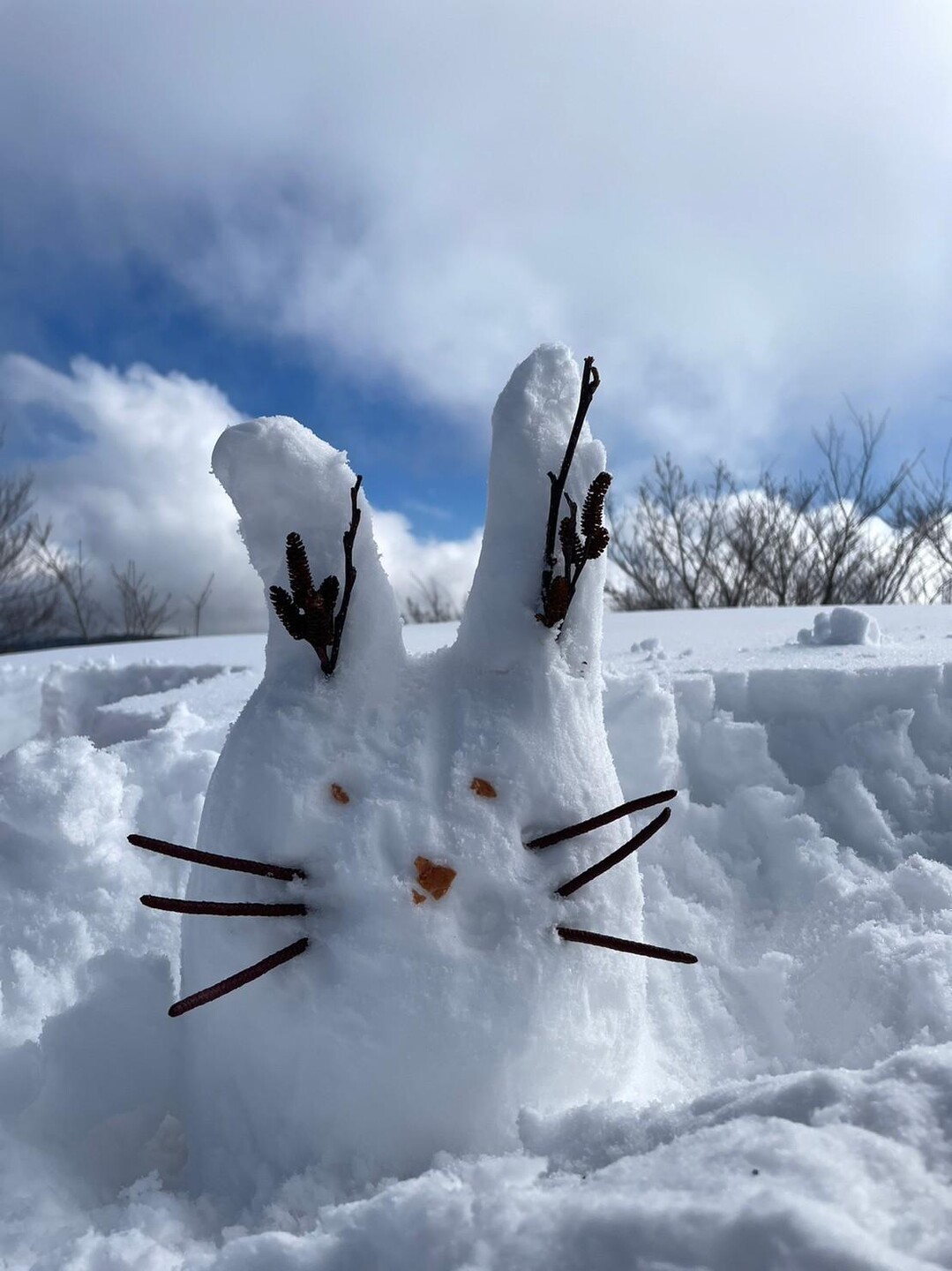 牛岳-鍋谷スタート / megmegさんの牛岳の活動データ | YAMAP / ヤマップ