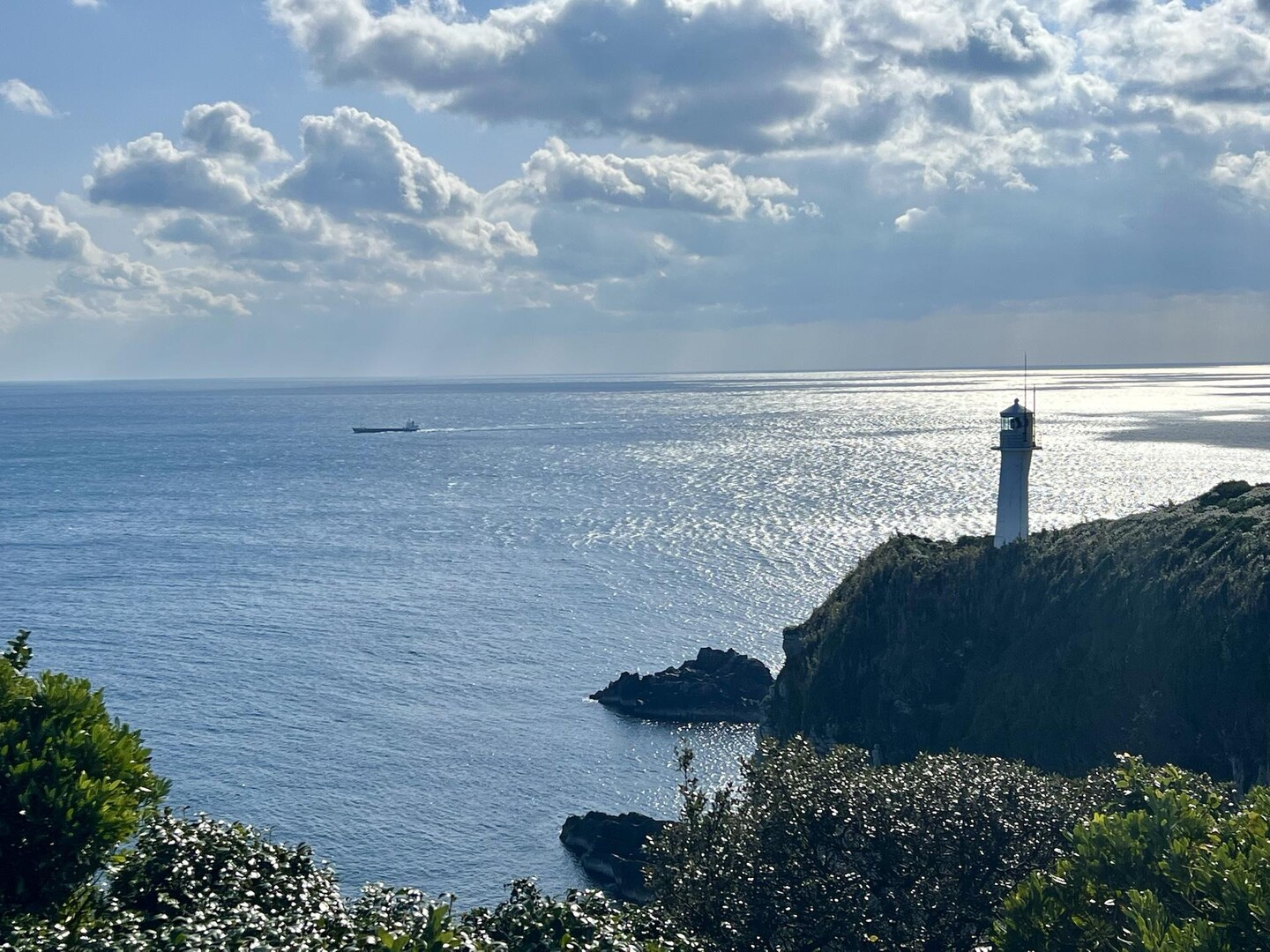 歩き遍路別格込編22 〜足摺岬の38番金剛福寺へ〜 / yukiさんの四国遍路その9の活動日記 | YAMAP / ヤマップ