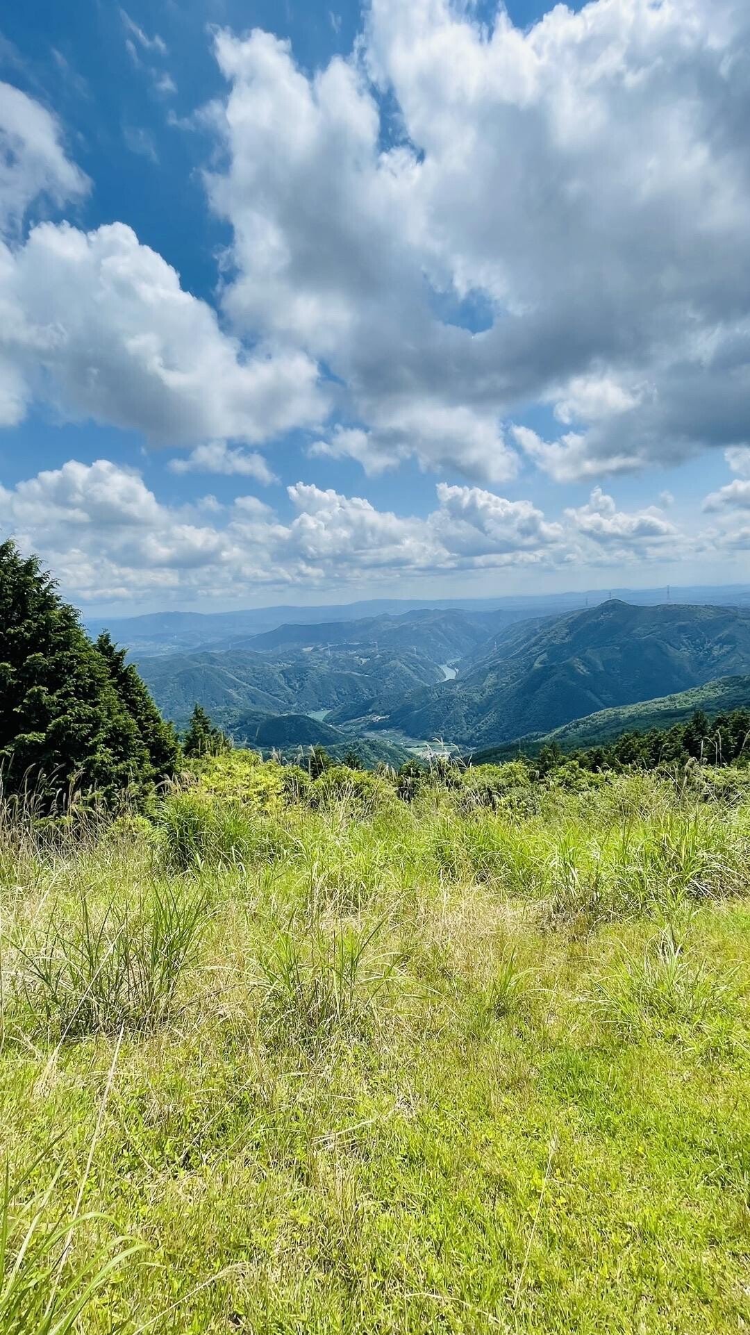 笠置山 / yanaponさんの笠置山の活動データ | YAMAP / ヤマップ