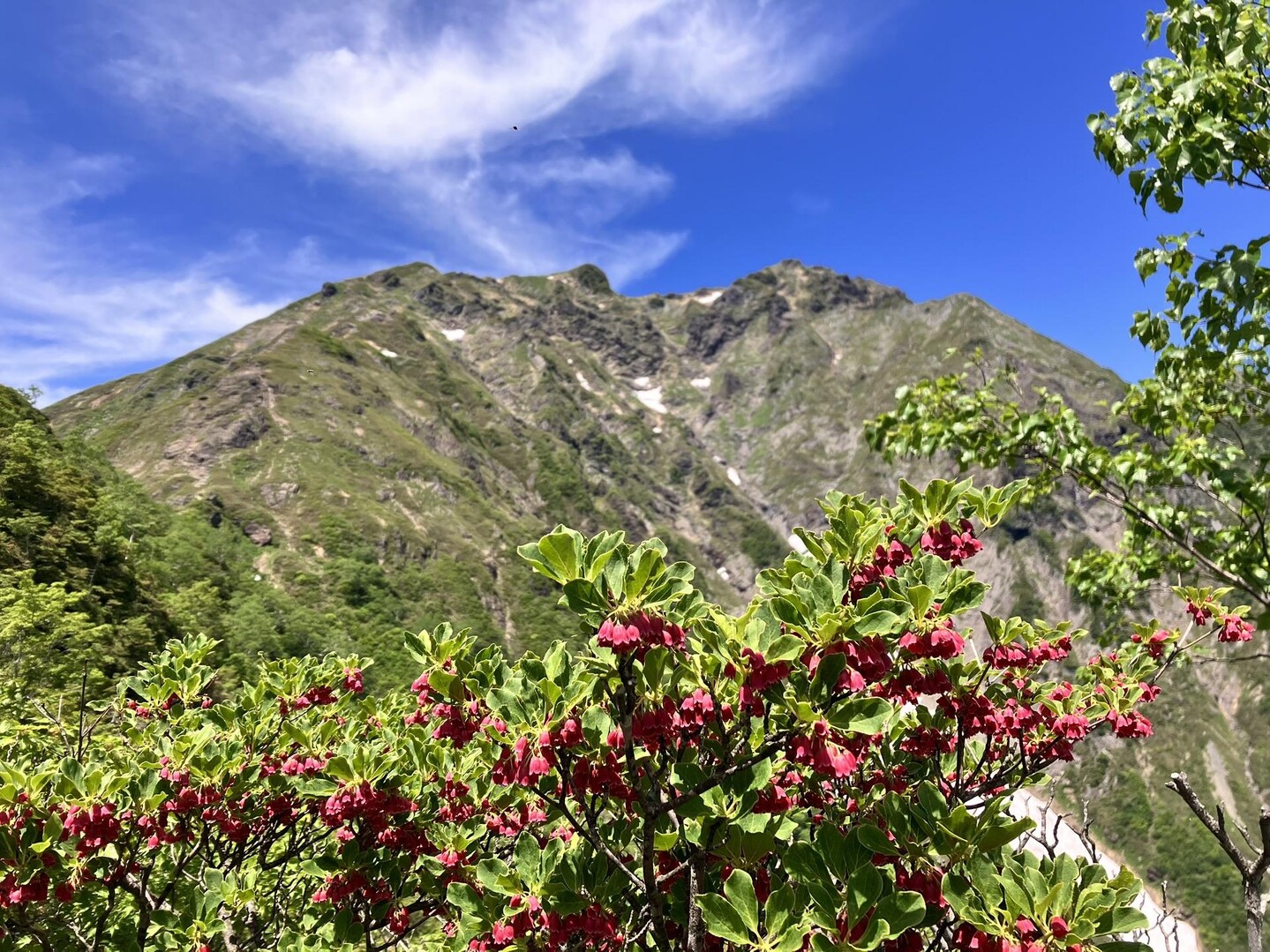 アニバーサリー🎉＠谷川岳〜西黒尾根 ️茂倉新道縦走 / tatさんの谷川岳・七ツ小屋山・大源太山の活動データ | YAMAP / ヤマップ