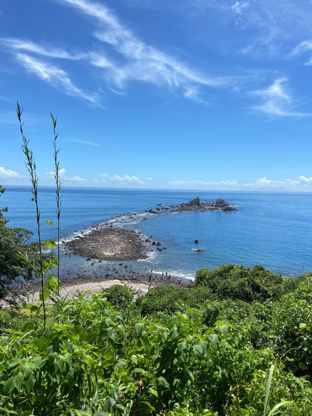 真鶴半島の森林遊歩道をウォーキング-2023-08-08 / goqooさんのウォーキングの活動データ | YAMAP / ヤマップ