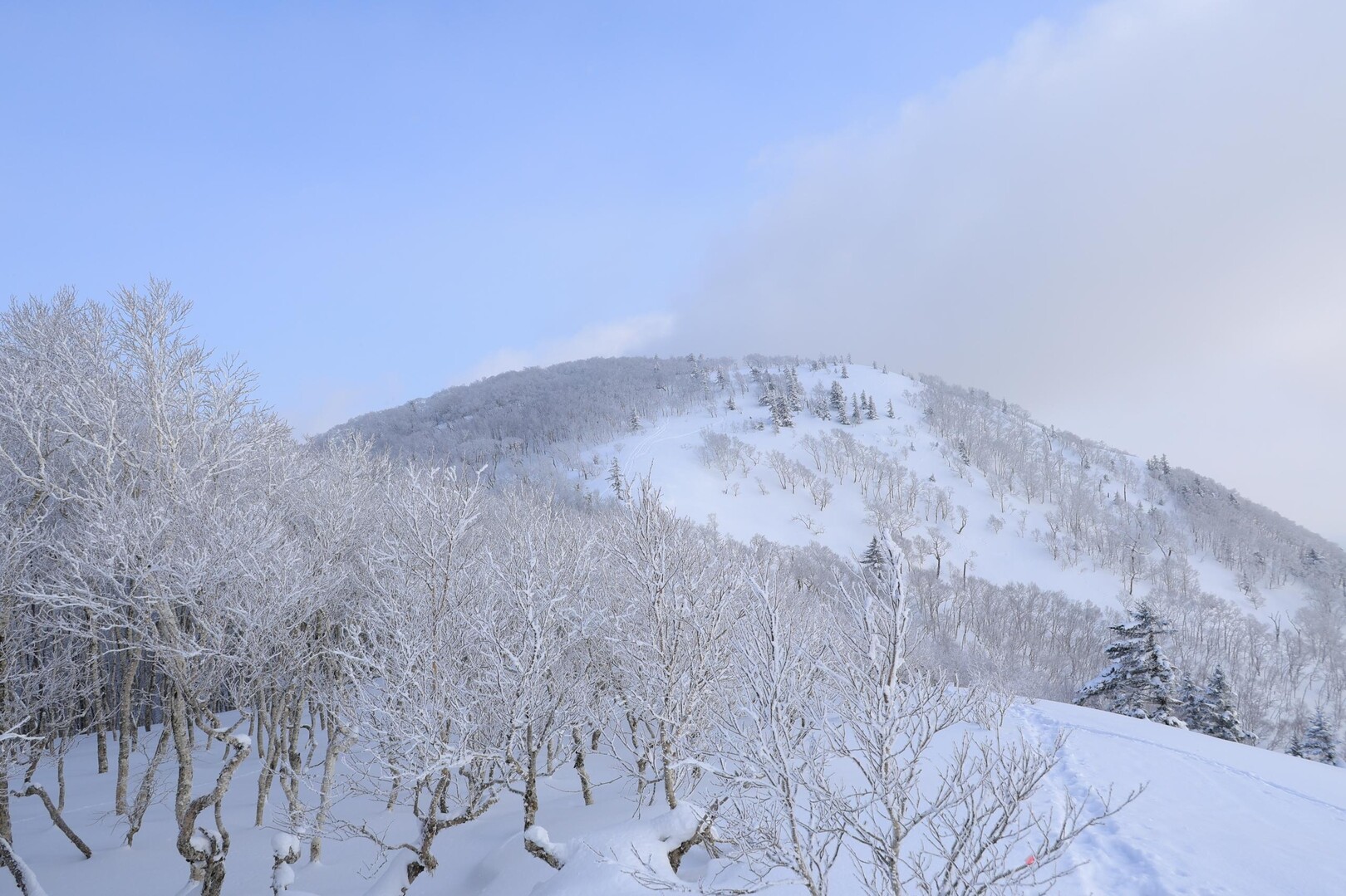 イチャンコッペ山 / Cervo_SRさんのイチャンコッペ山の活動データ | YAMAP / ヤマップ