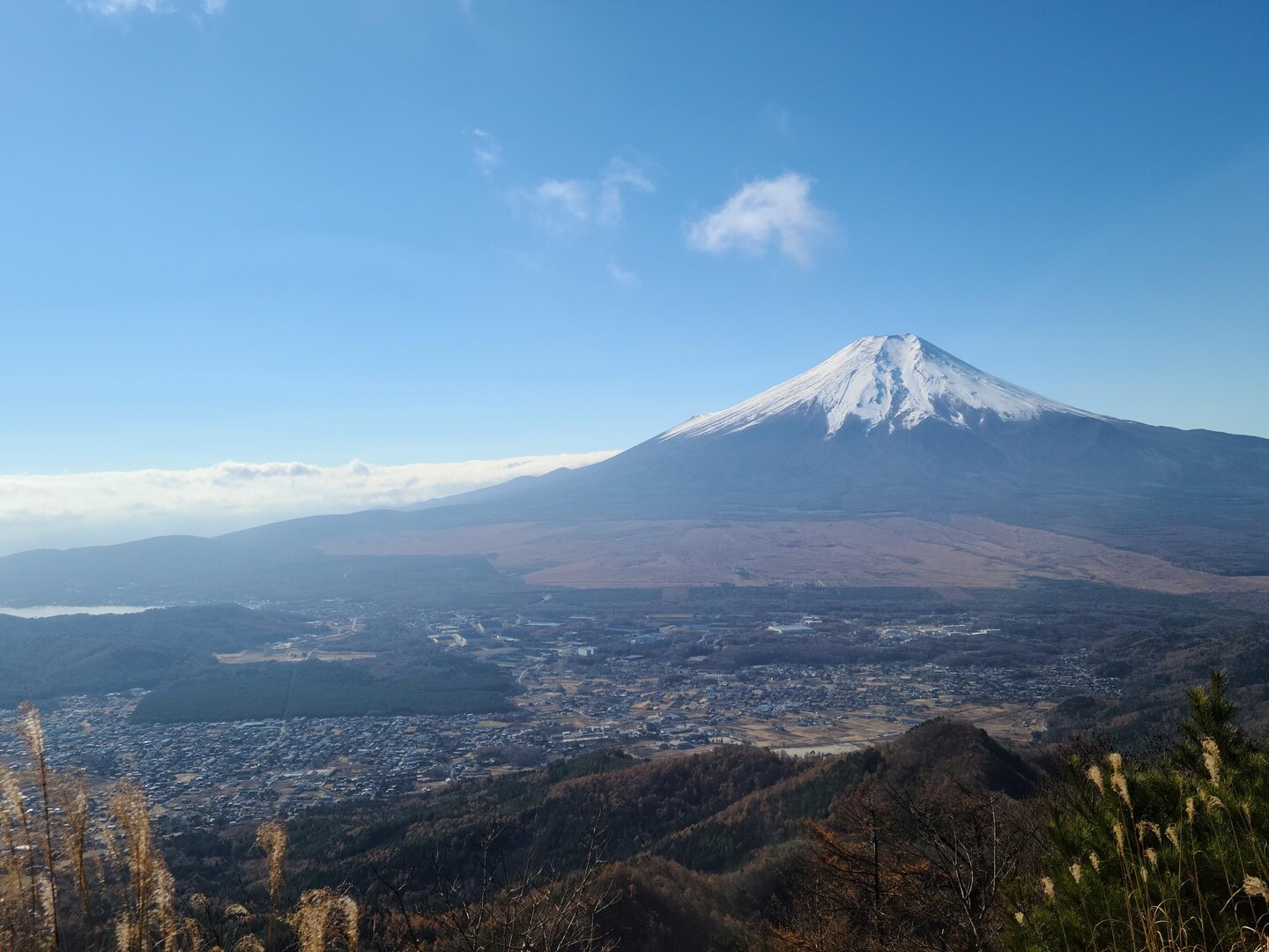 杓子山⛰️旅 / Koikoiさんの御正体山・杓子山・石割山の活動データ | YAMAP / ヤマップ