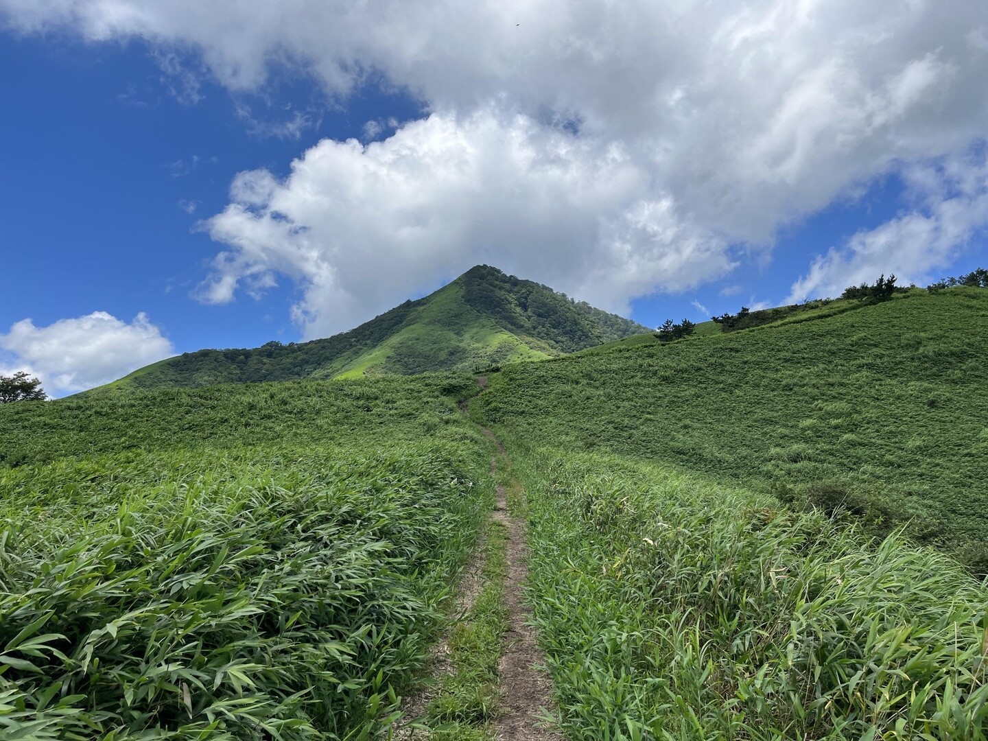 下蒜山 / momacさんの蒜山の活動データ | YAMAP / ヤマップ