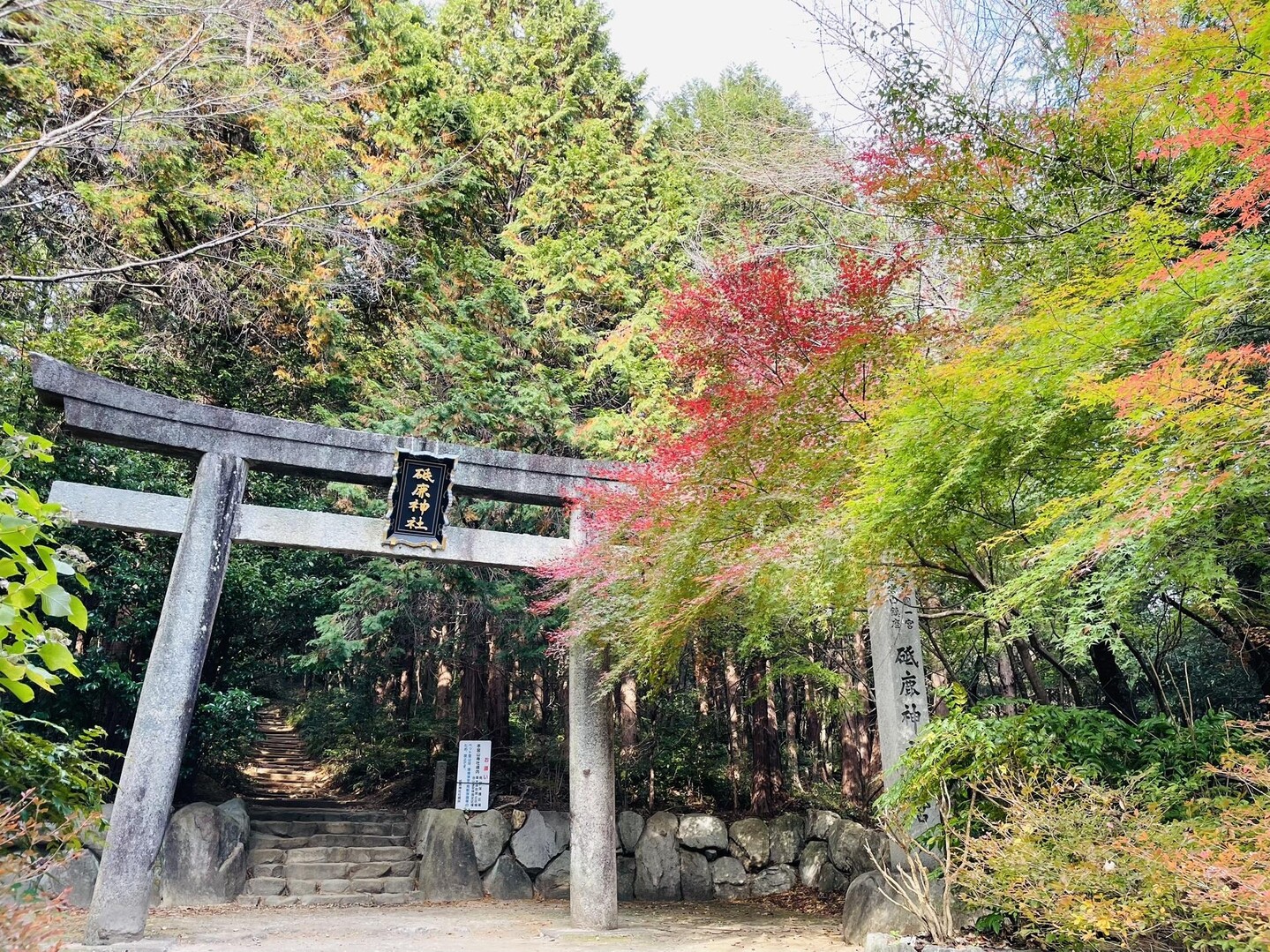 本宮山 / lulu さんの本宮山・大日山・風頭山の活動データ | YAMAP / ヤマップ