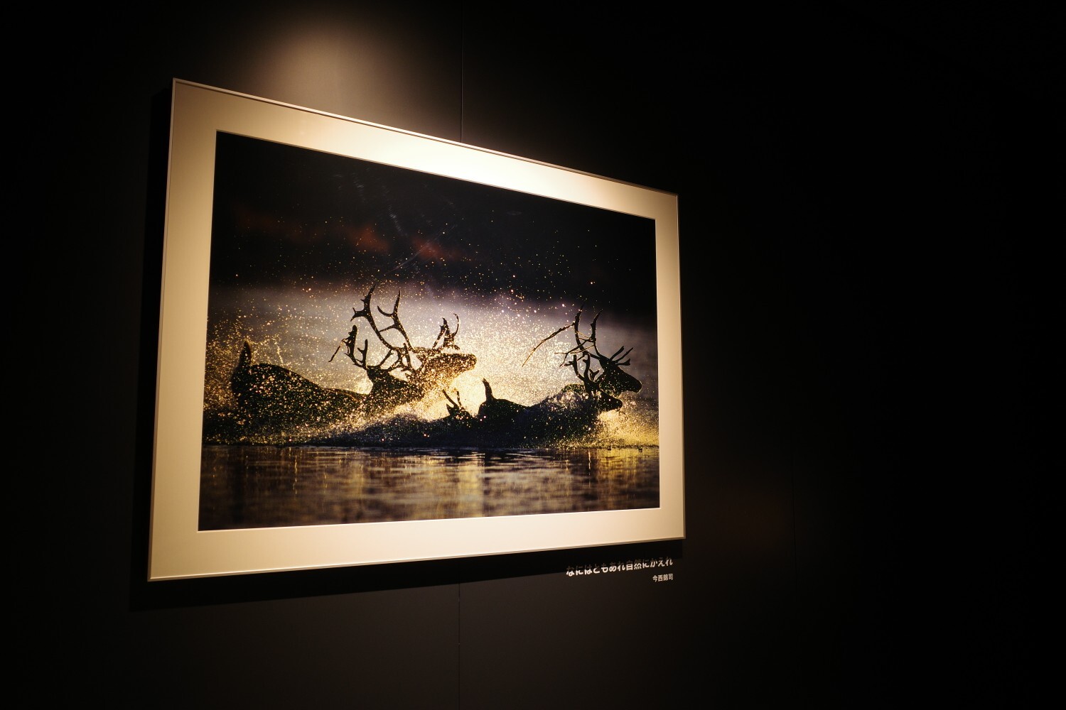 YAMAP STORE福岡店へ初めて行っ... / n-u-m-aさんのモーメント | YAMAP / ヤマップ