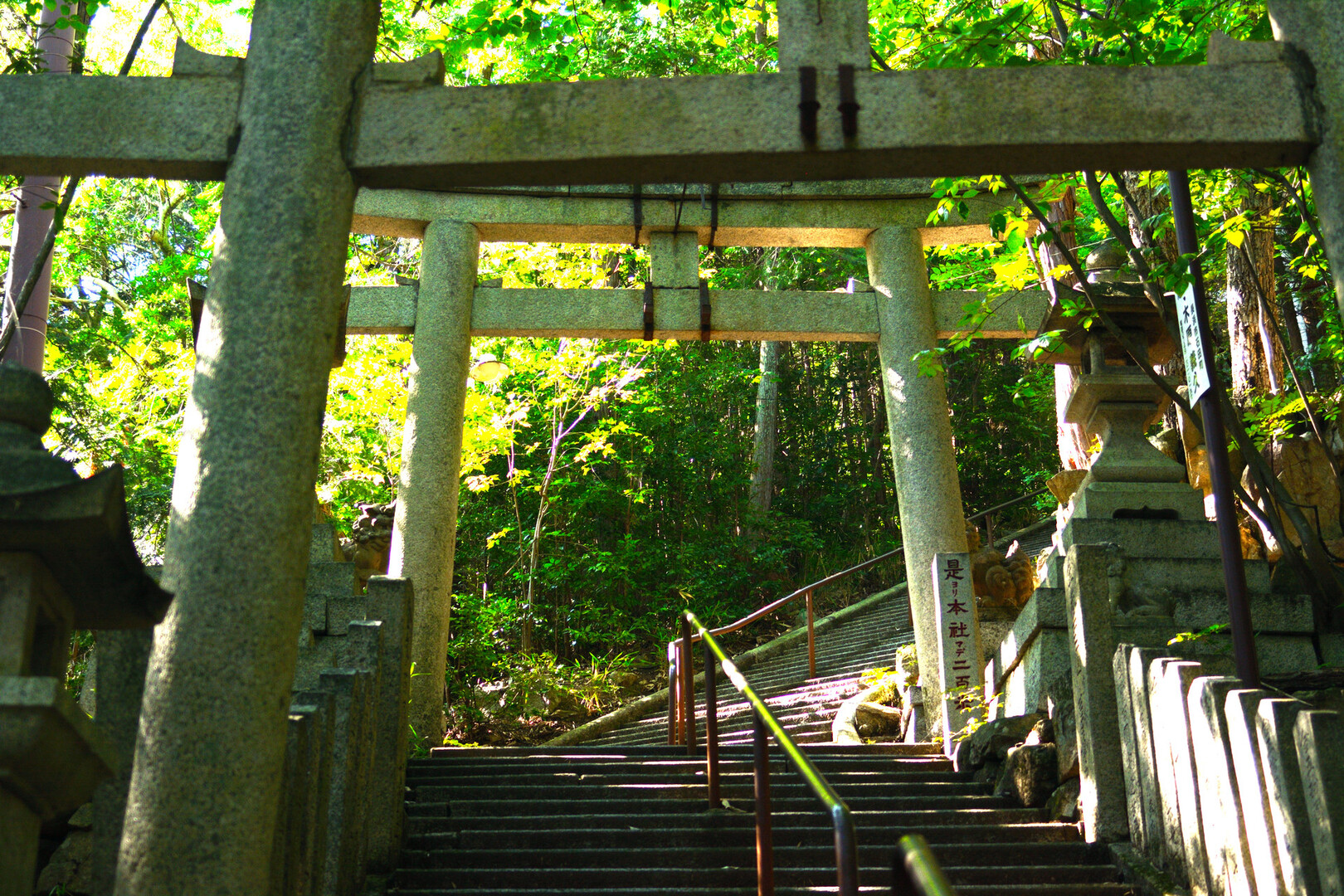 太郎坊山 / Tai Konさんの箕作山・太郎坊山の活動データ | YAMAP / ヤマップ