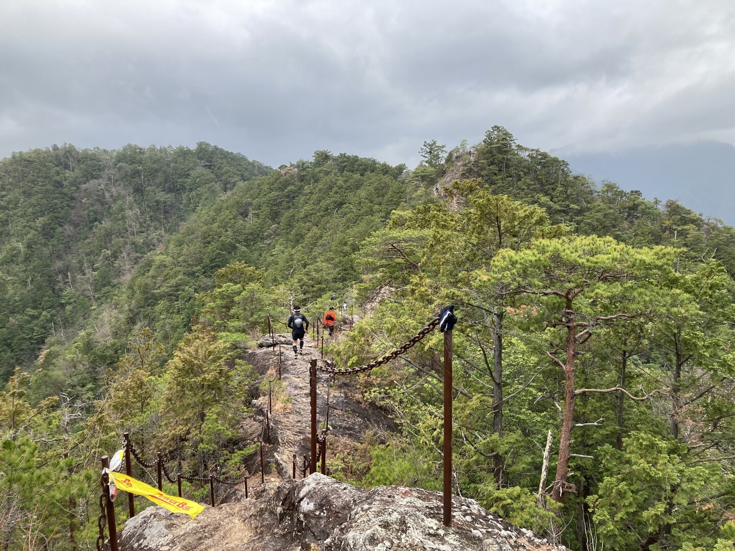 OSJ新城トレイル11K(2022) / しまさんの宇連山・鳳来寺山・岩古谷山の活動データ | YAMAP / ヤマップ