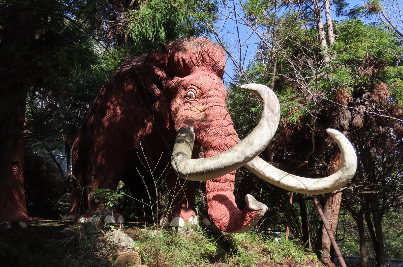 尉ヶ峰 黄砂と花粉の中 / ayatonさんの富幕山・尉ヶ峰・竜ヶ石山の活動データ | YAMAP / ヤマップ