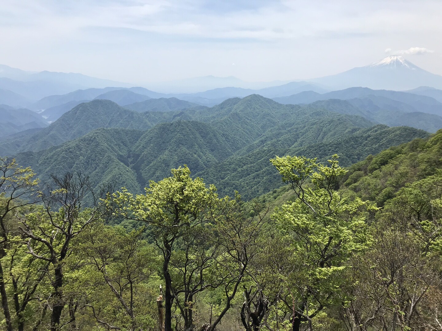 大室山〜加入道山 / chobeeさんの大室山・畦ヶ丸山・菰釣山の活動データ | YAMAP / ヤマップ
