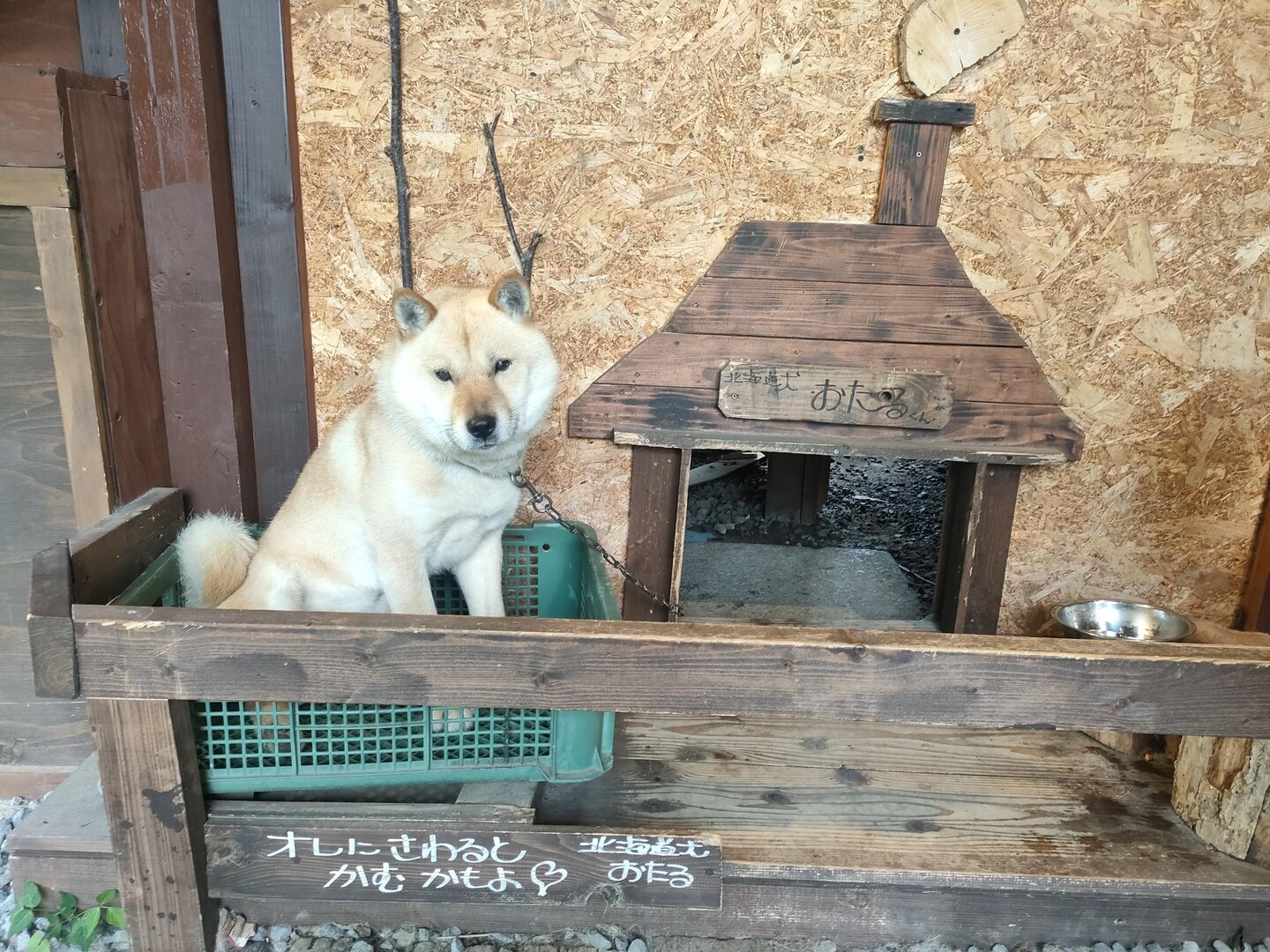 黒姫山 / rumiさんの黒姫山の活動データ | YAMAP / ヤマップ