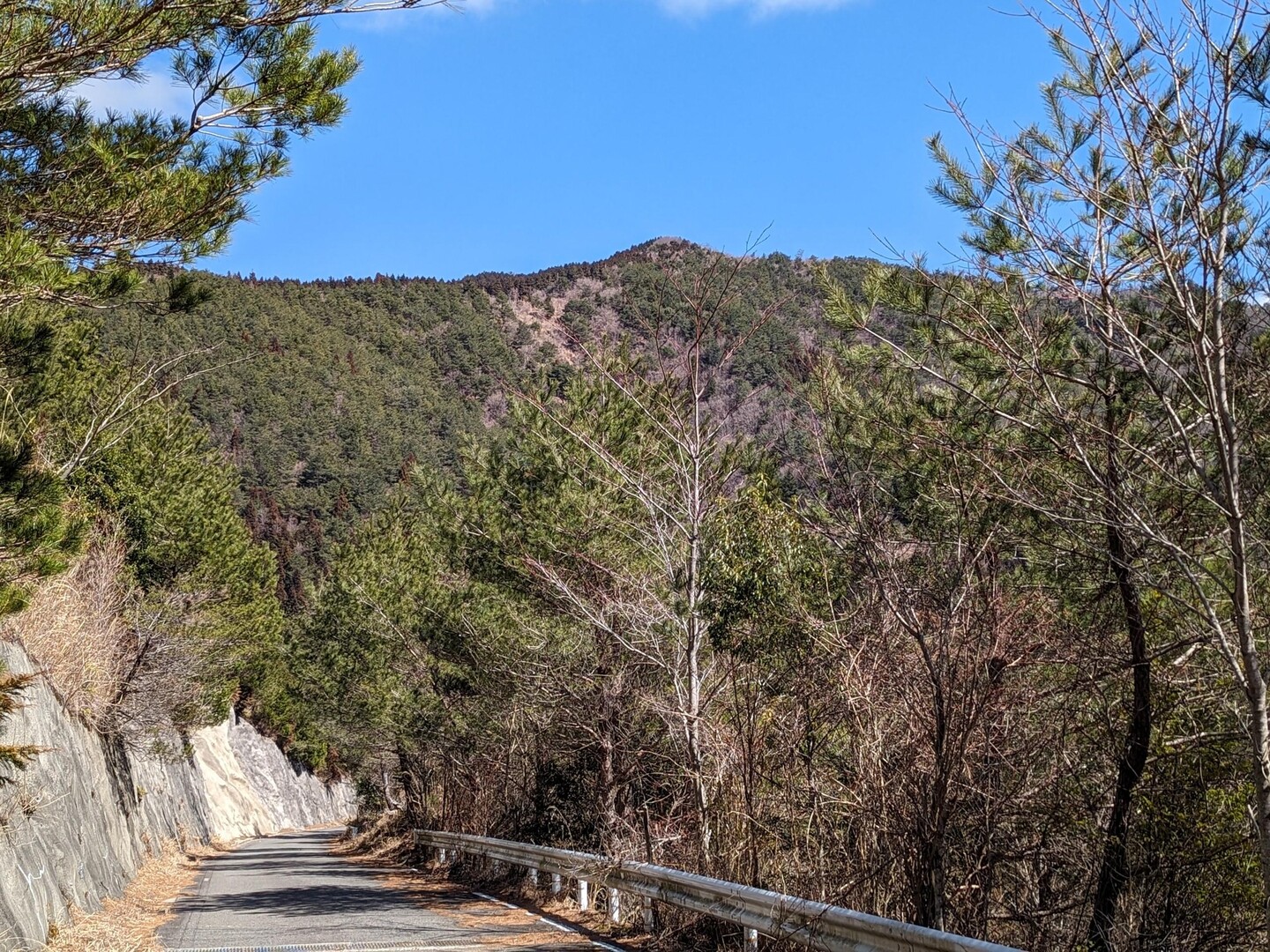 🤓白馬山💦近畿百名山#79 / "satoh"さんの白馬山・太田岳の活動データ | YAMAP / ヤマップ