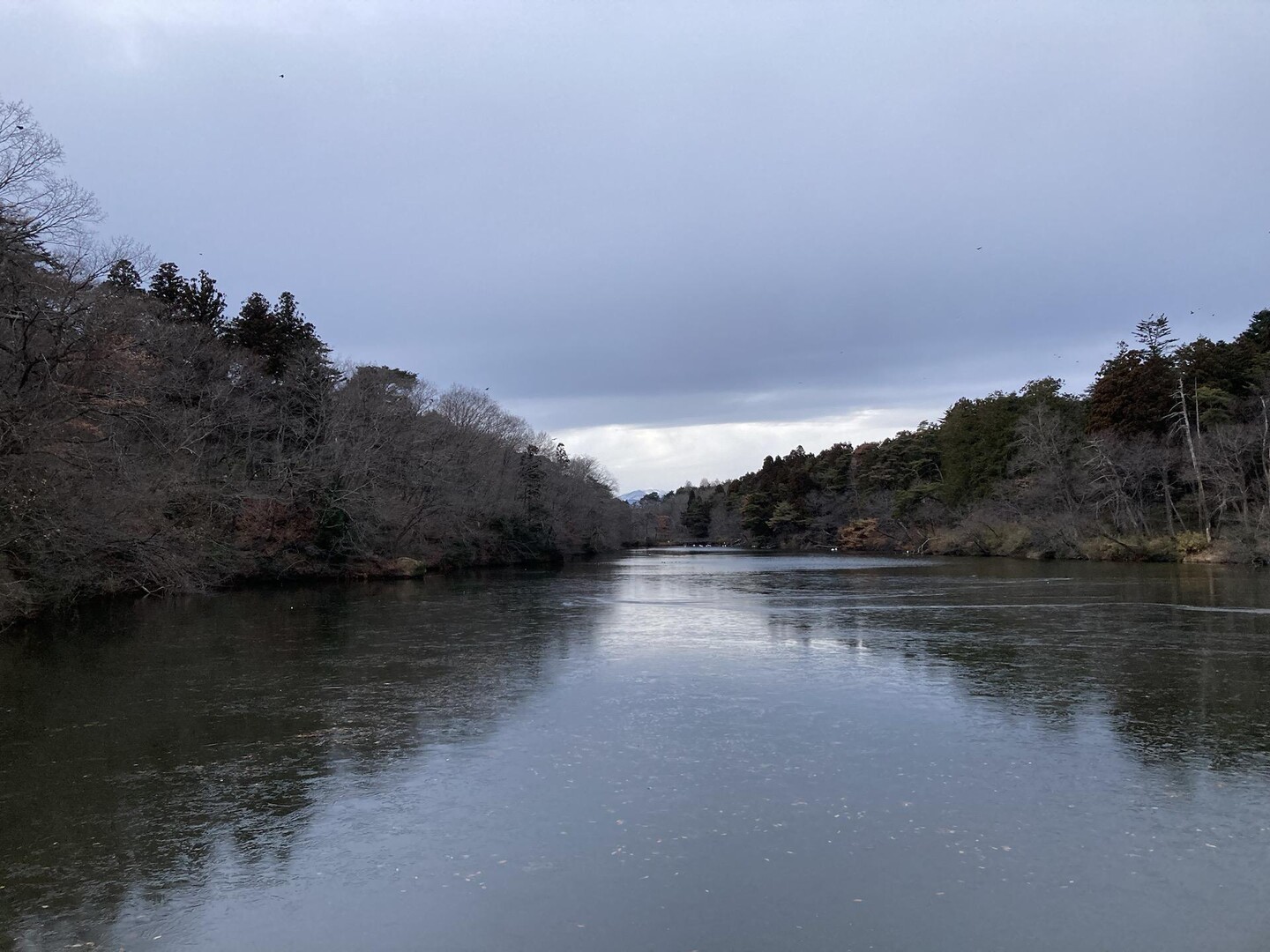 こんばんは^ ^ 今日は風の強い1日で... / OBsunさんのモーメント | YAMAP / ヤマップ