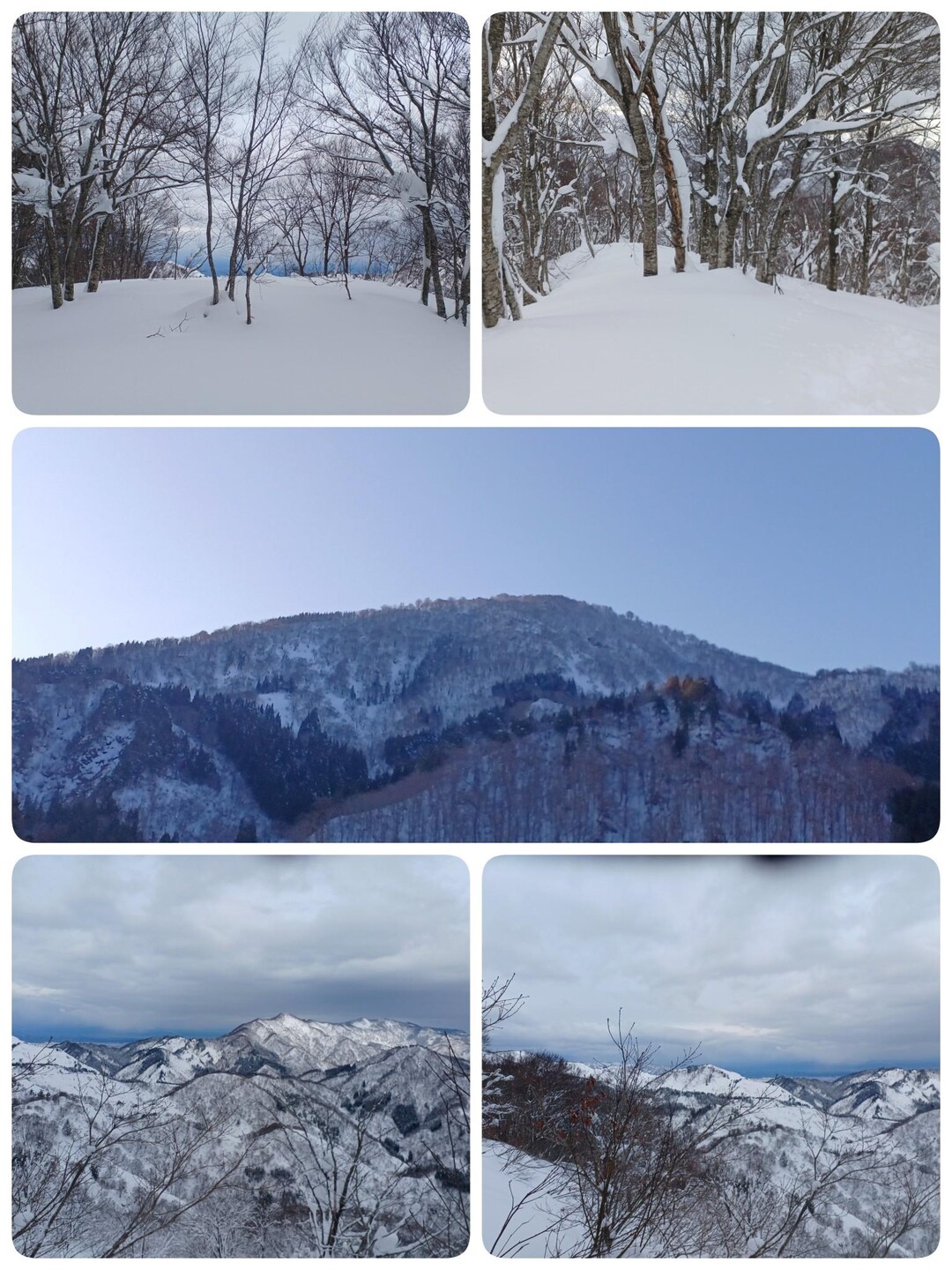 富山県 高坪山 (画像中央の山) 202... / らいちょうさんのモーメント | YAMAP / ヤマップ