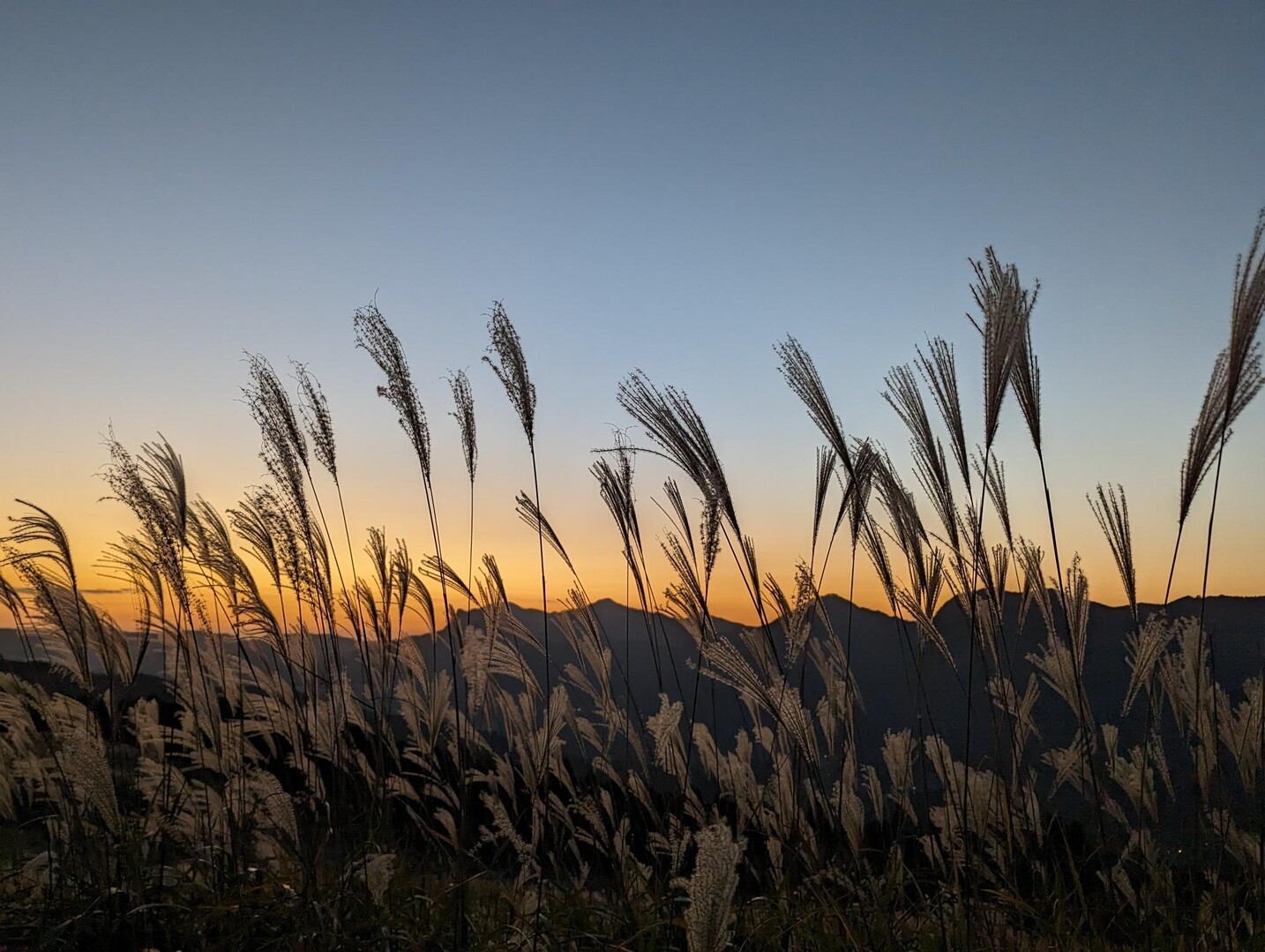 亀山・倶留尊山・二本ボソ / koke（苔）さんの倶留尊山・曽爾高原・古光山の活動データ | YAMAP / ヤマップ